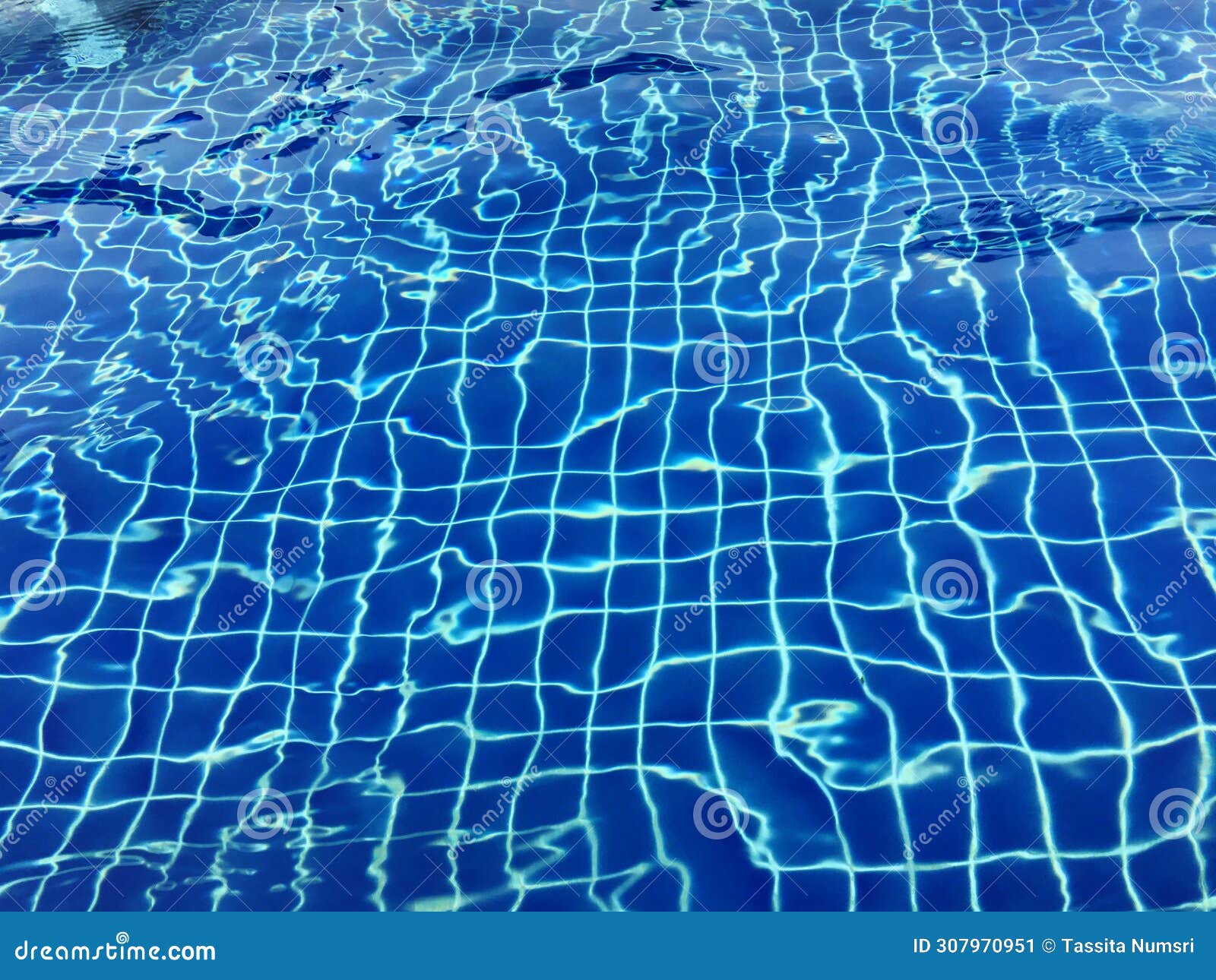 Dark Blue Swimming Pool Water with Tiles and Palm Tree Shadow Stock ...
