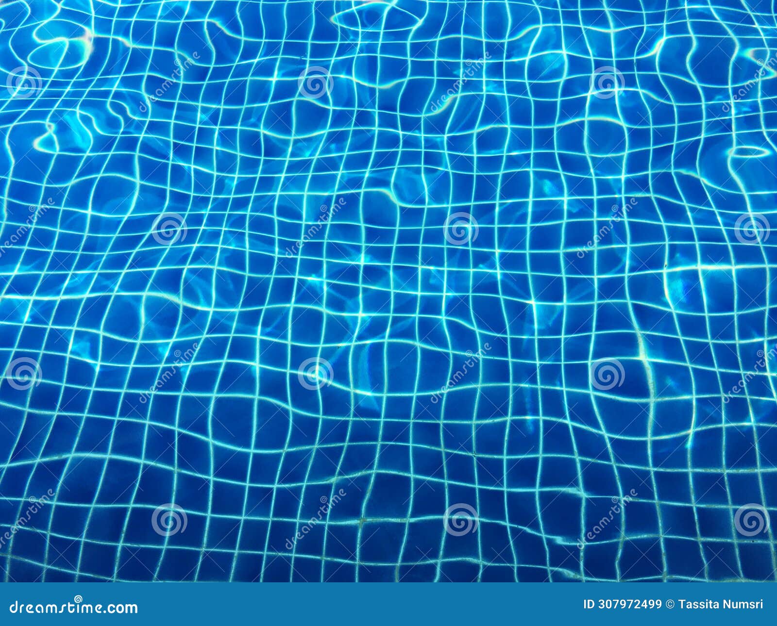 Dark Blue Swimming Pool Water with Tiles and Palm Tree Shadow Stock ...