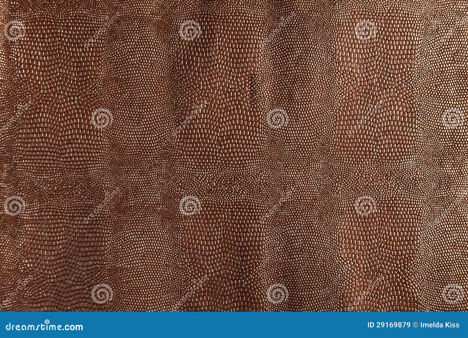 Dark Brown Snakeskin Texture Stock Image - Image of seamy, pile: 29169879
