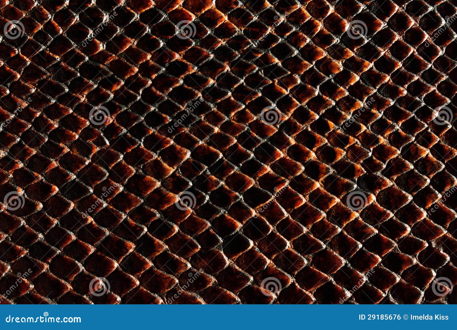 Dark Brown Snakeskin Texture Stock Photo - Image of colour, real: 29185676