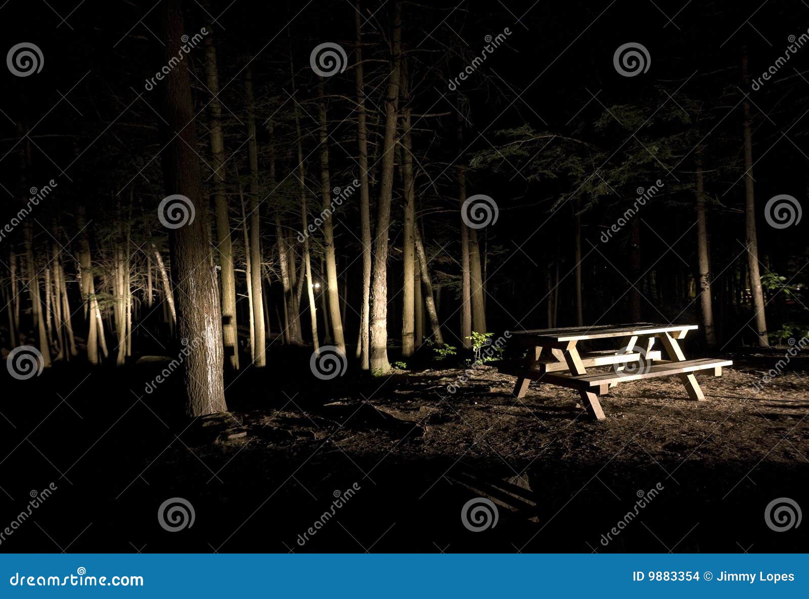 Camp Site In The Forest, Campground At Park. Camping And Tent Under The ...