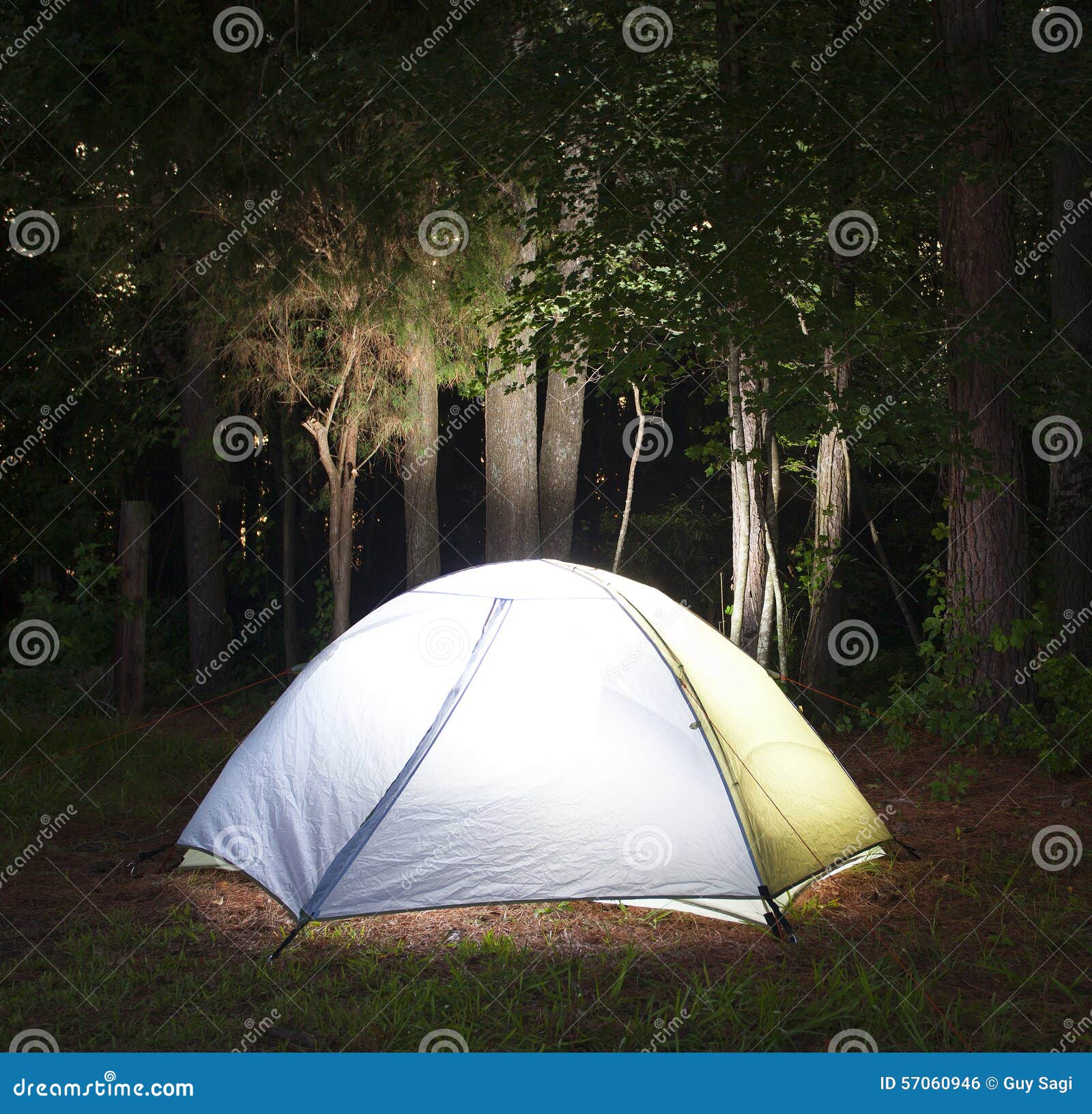 Dark campsite stock photo. Image of tent, needles, grass - 57060946