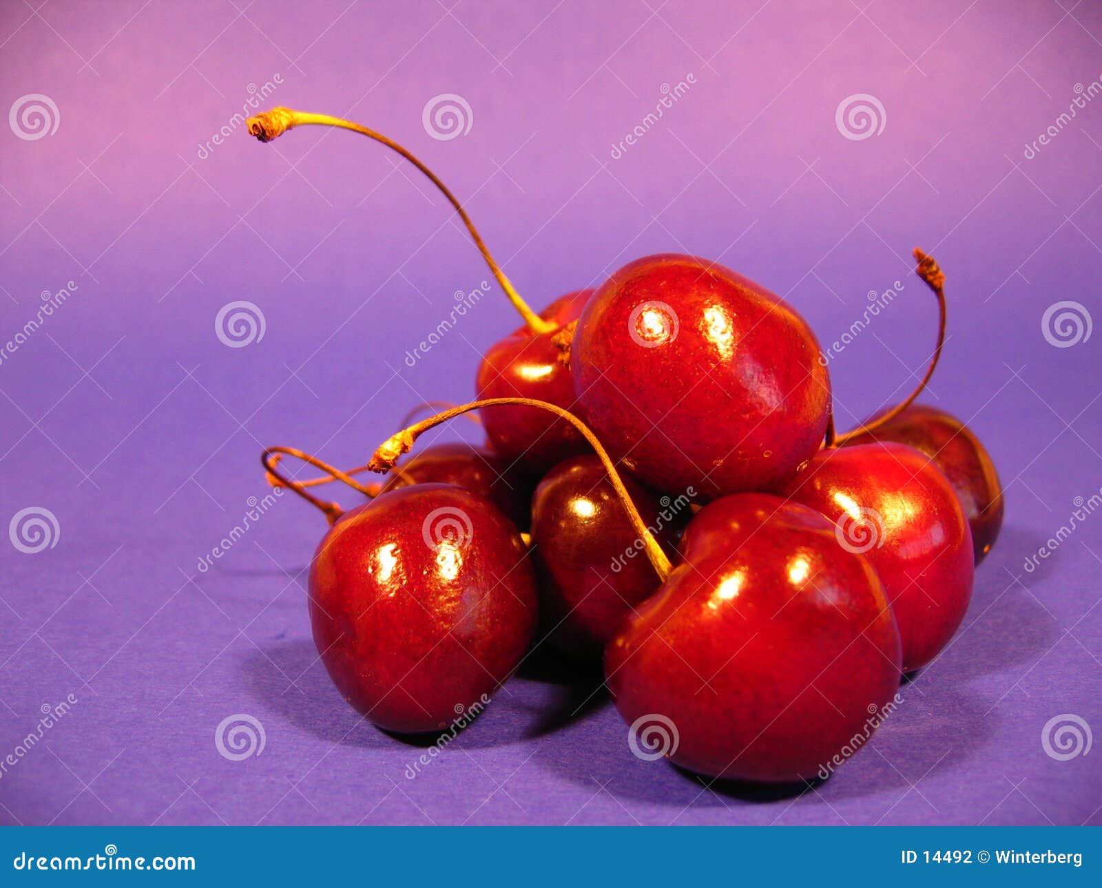 Dark Cherries II stock photo. Image of cherry, details, fruits - 14492