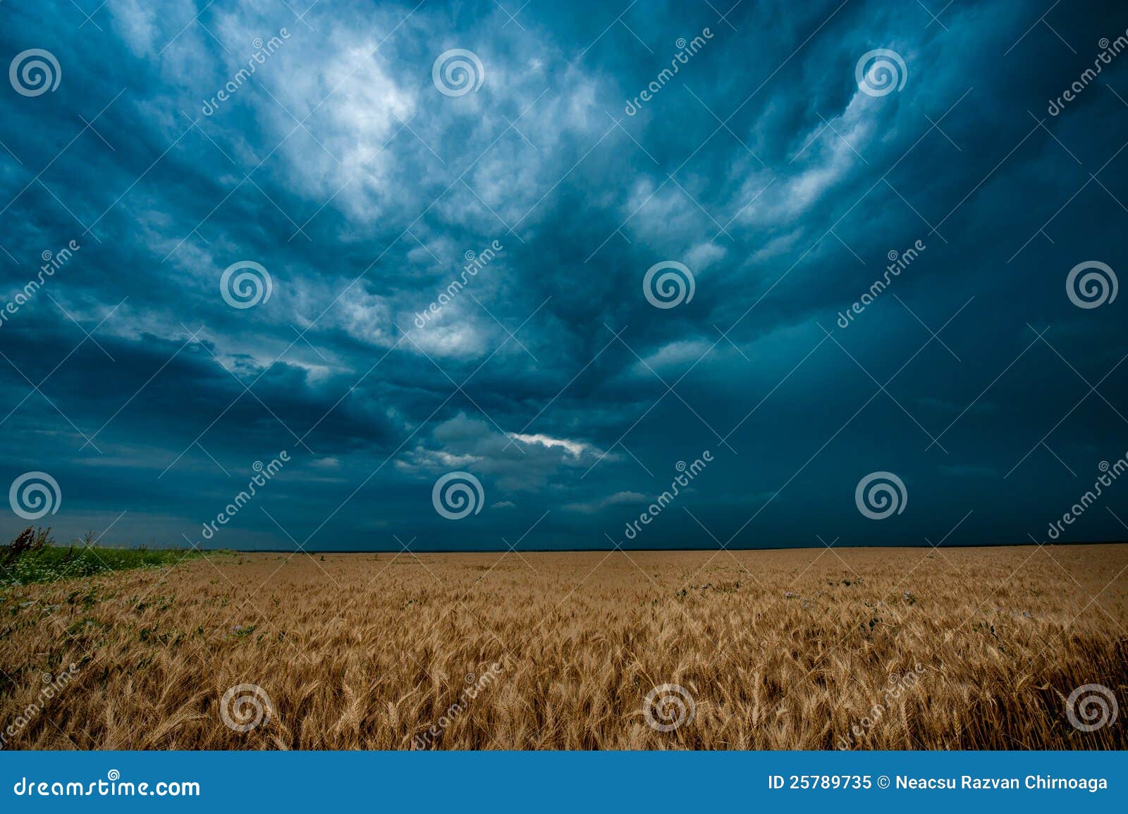 Dark clouds over field stock image. Image of meadow, climate - 25789735