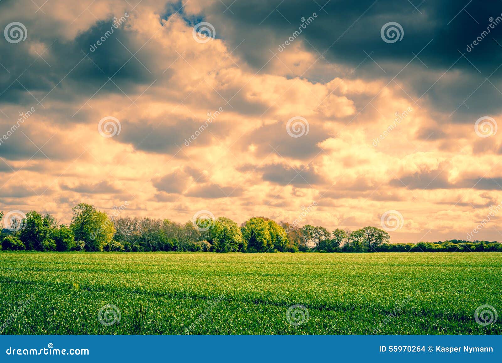 Dark clouds over a field stock photo. Image of cloudscape - 55970264