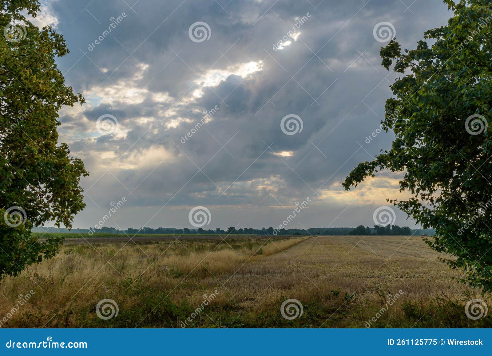 Dark Clouds Over a Field at Sunset Stock Image - Image of nature, cloud ...