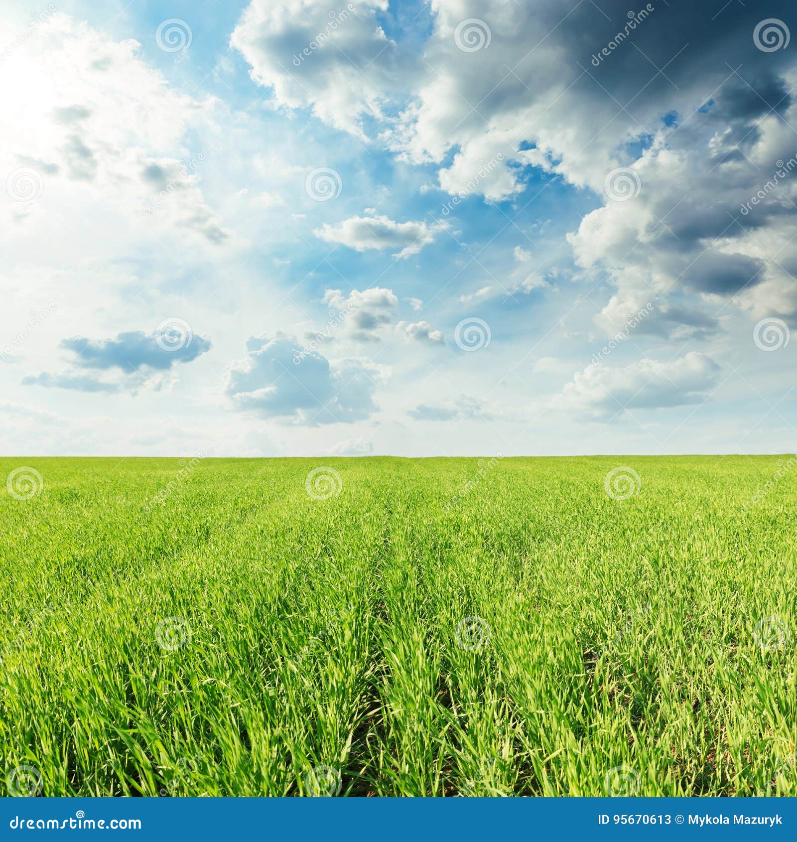 Dark Clouds Over Green Grass Field Stock Image - Image of ground, dark ...