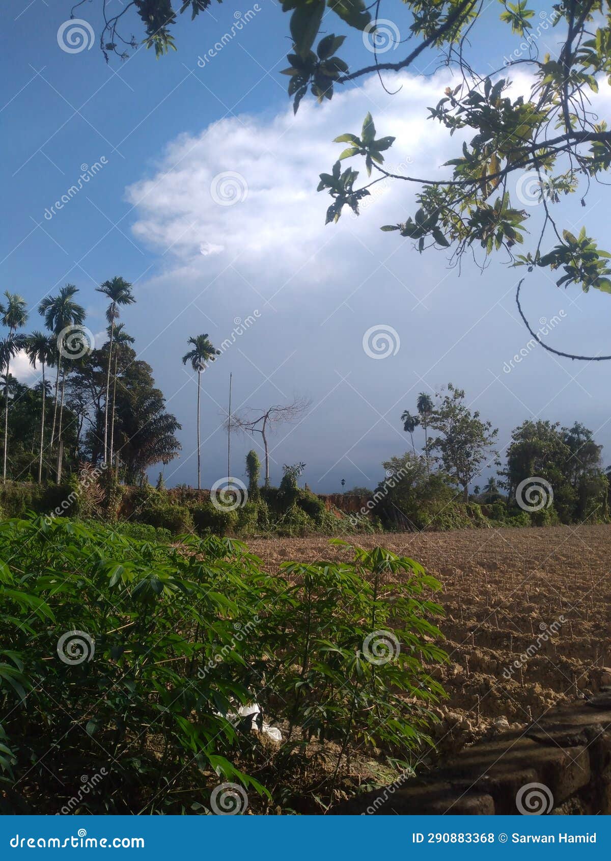 Dark clouds will rain stock photo. Image of dark, mean - 290883368