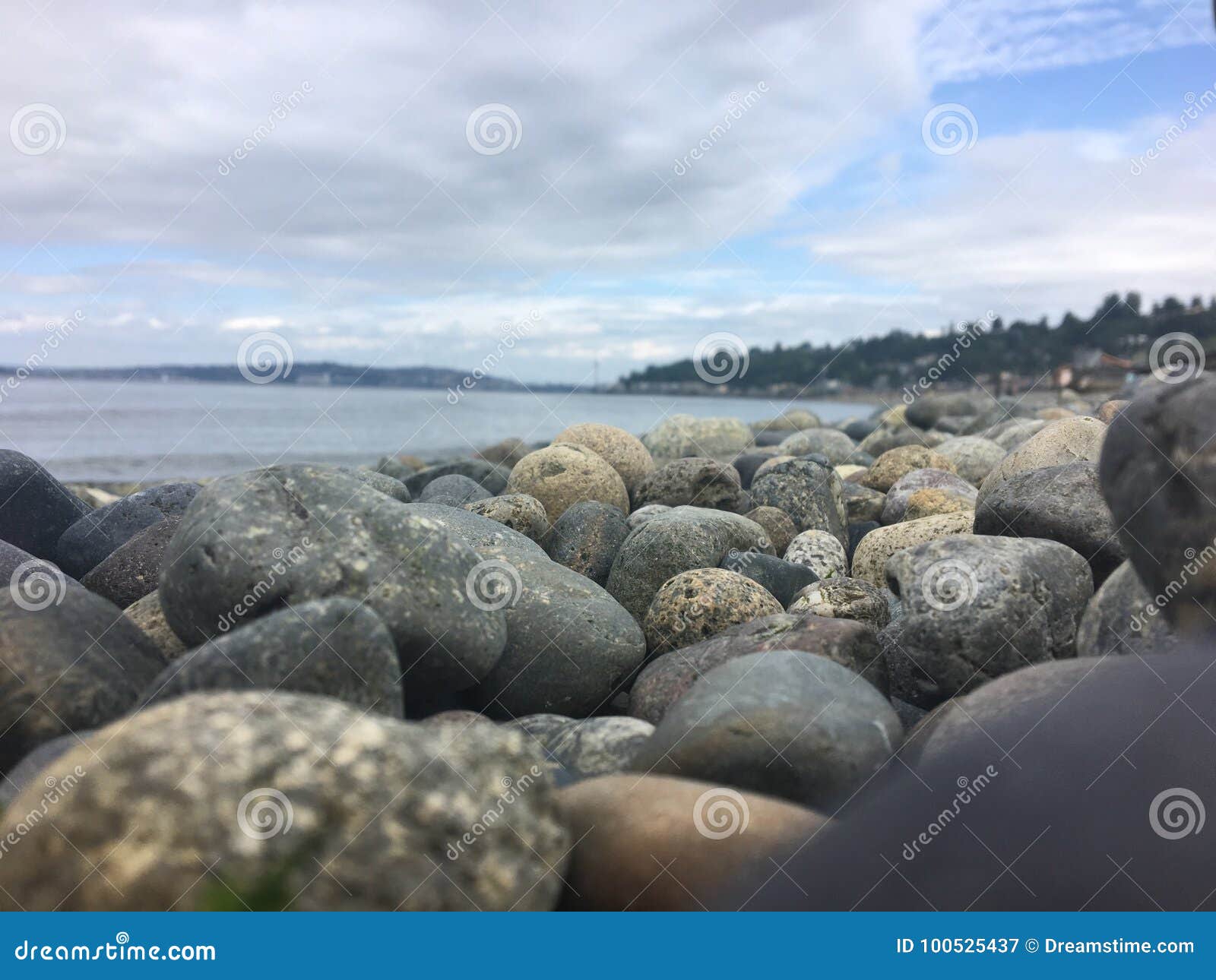 Rocks on the beach stock image. Image of beach, colored - 100525437