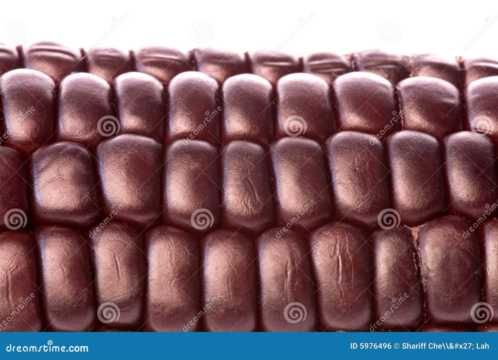 Dark corn stock photo. Image of macro, details, ripened - 5976496