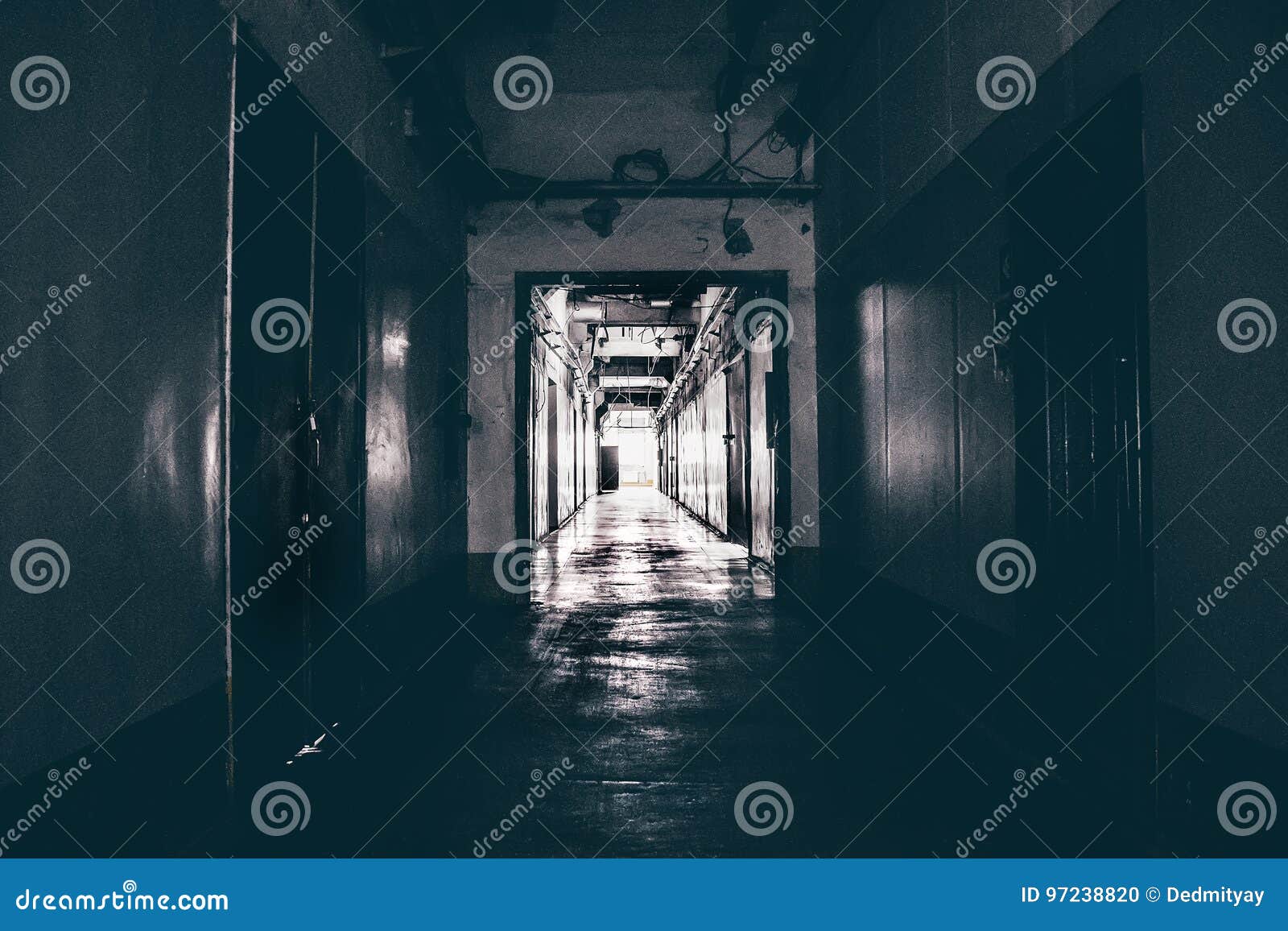Dark Corridor With Cabinet Doors And Lights With Silhouette Of Spooky ...