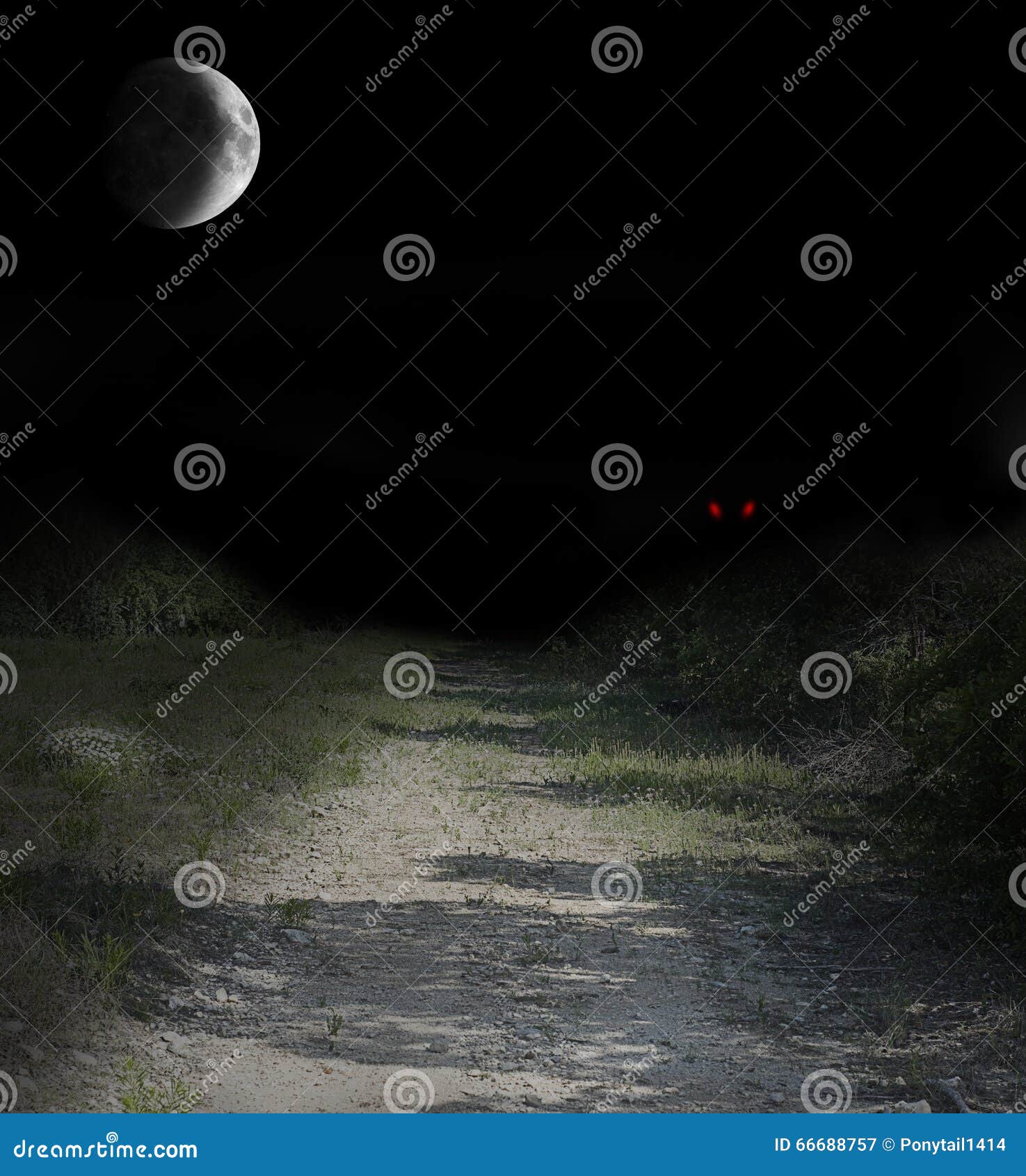 Dark Country Road with Red Glowing Eyes Stock Image - Image of path ...