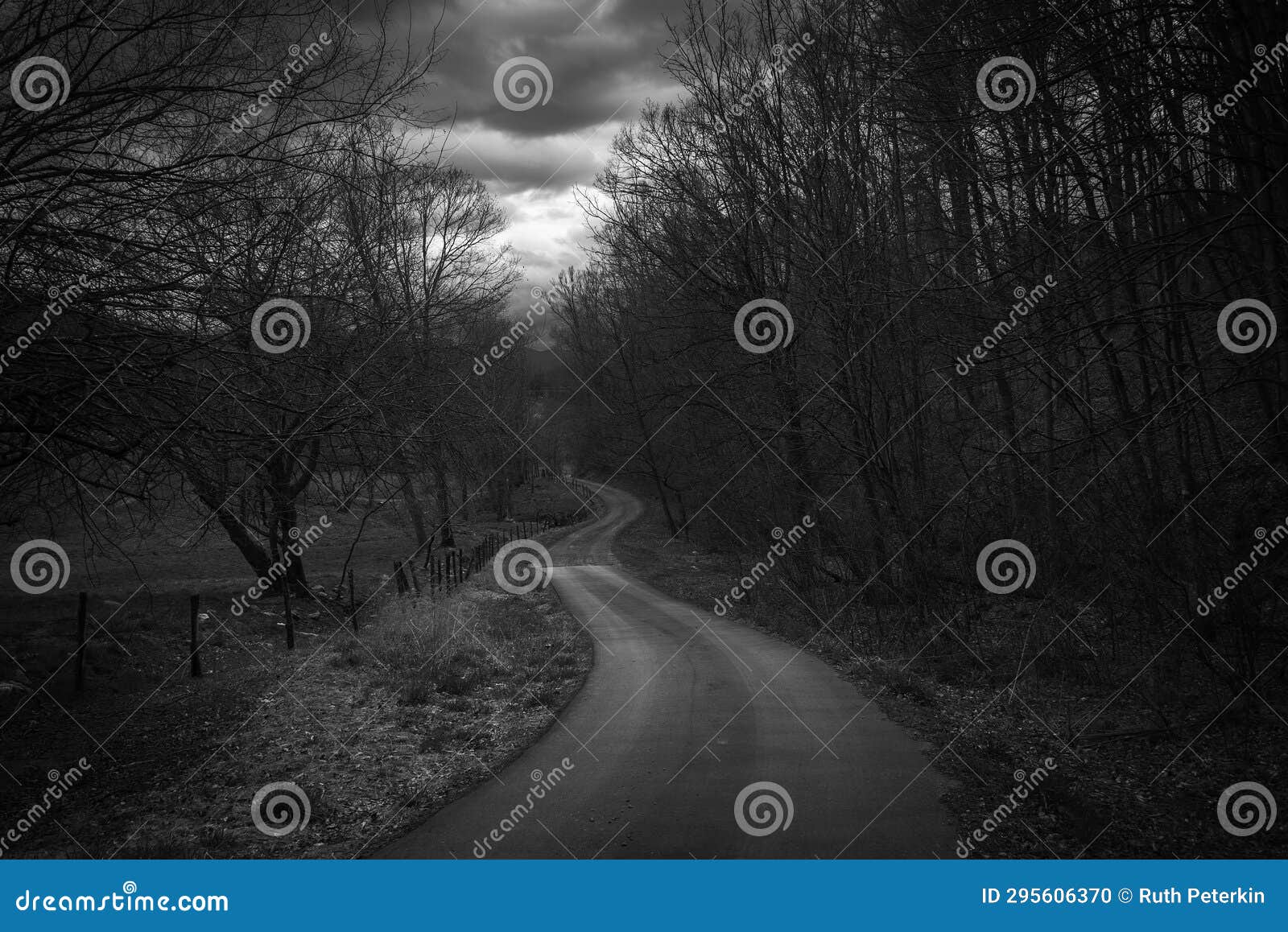 Dark and Creepy Winding Road in Black and White Tone Stock Photo ...