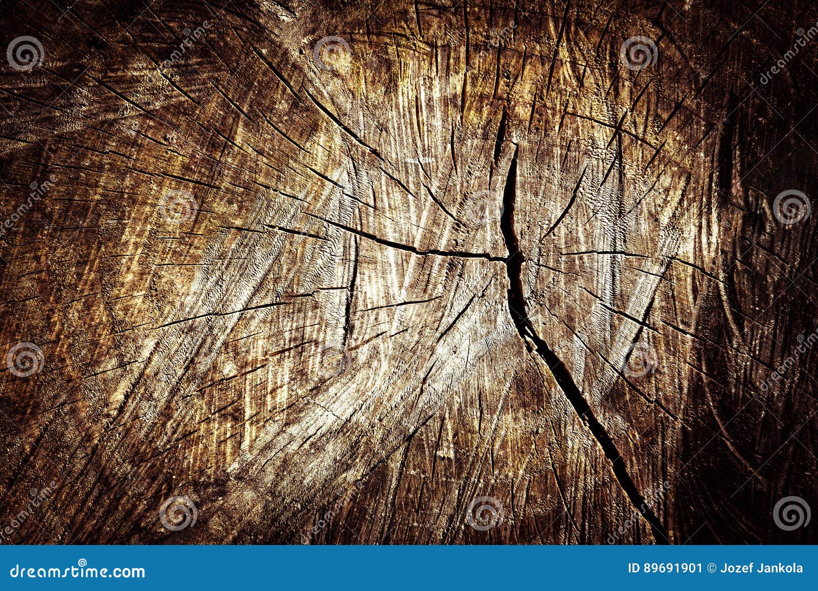 Dark cut tree trunk stock image. Image of material, ring - 89691901
