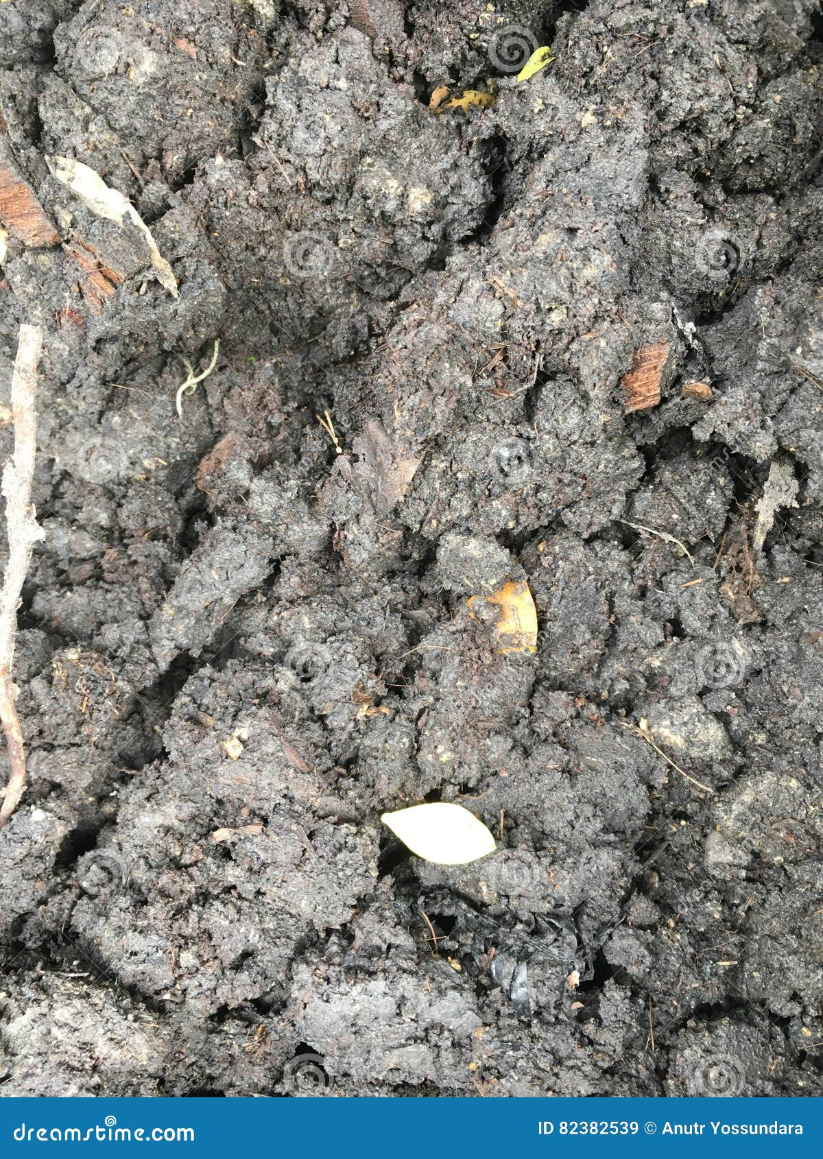 Dark Dirt Brown Soil Ground Texture Background. Stock Image - Image of ...