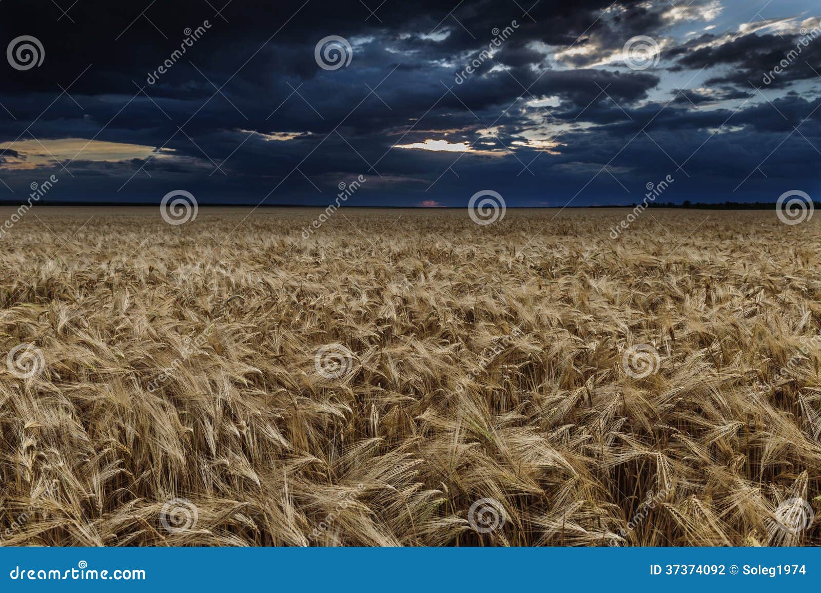 Dark Dramatic Field and Sky Stock Photo - Image of evening, contrast ...