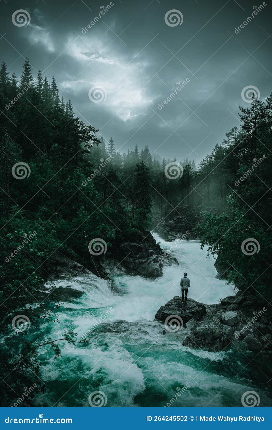 Dark Dramatic river stock photo. Image of wilderness - 264245502