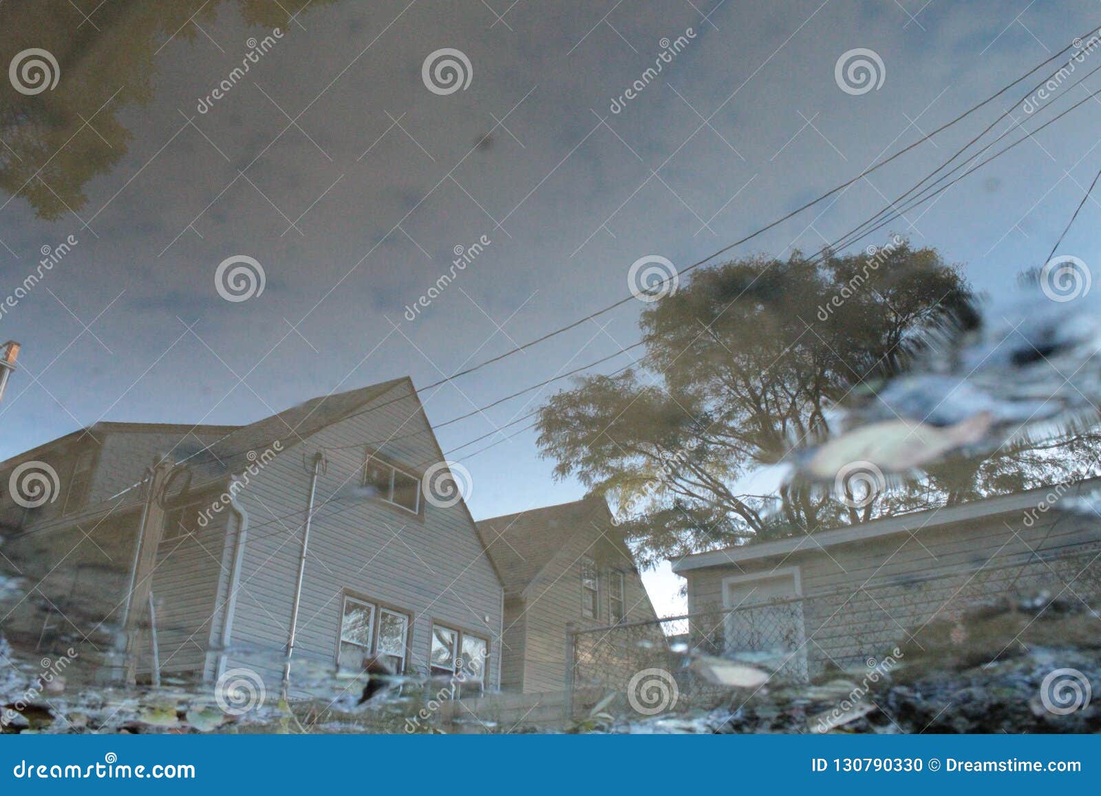 Dark and Dreamy Home Reflections. Stock Photo - Image of tree ...