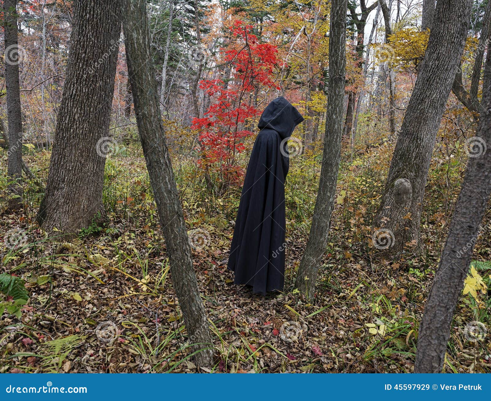 Dark Figure in the Forest 2 Stock Image - Image of carnival, leaf: 45597929