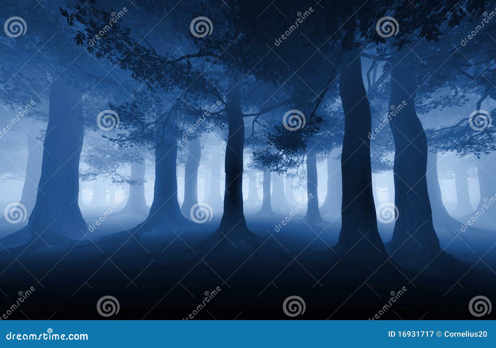 Dark forest stock illustration. Illustration of night - 16931717