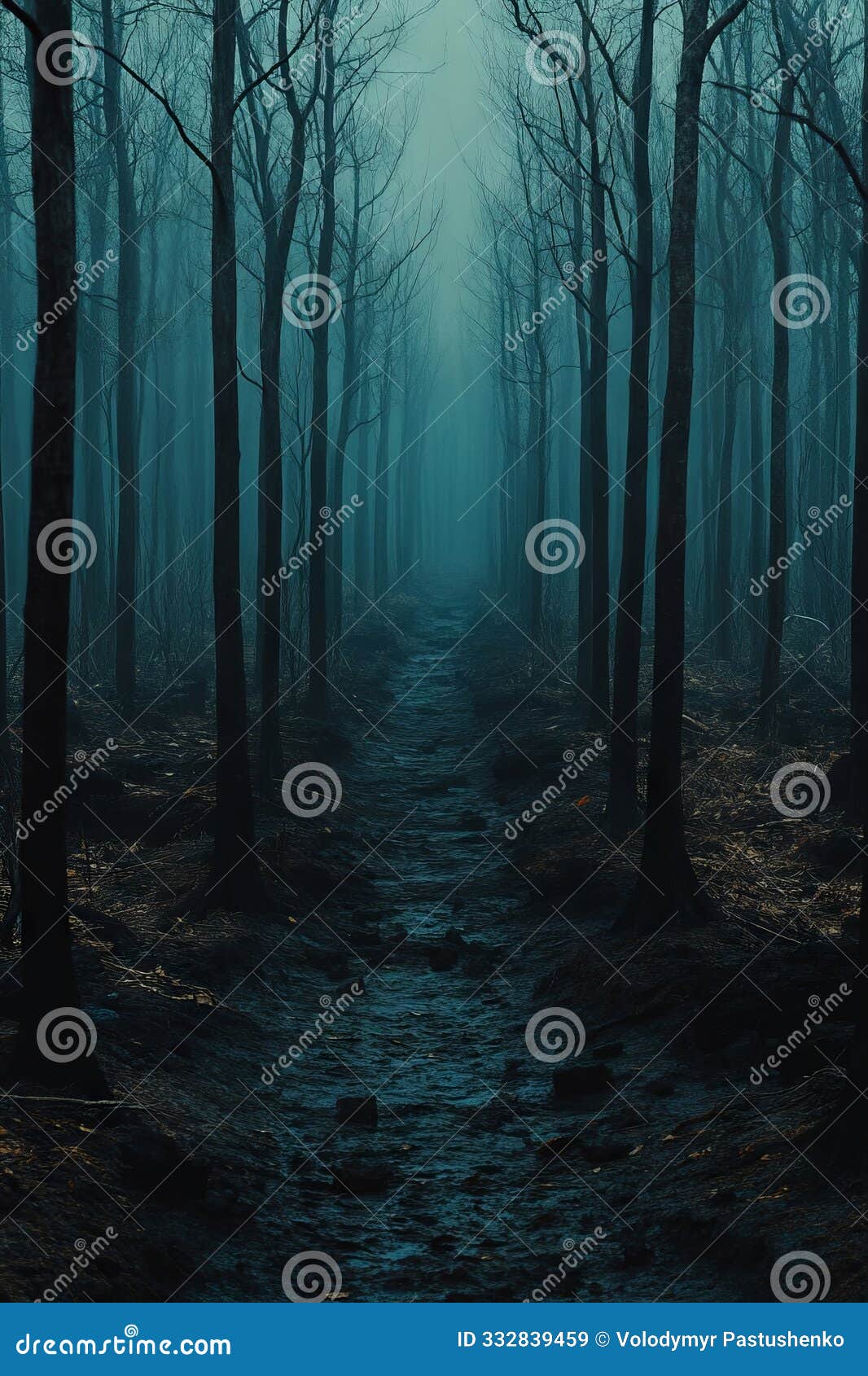 A Dark Forest with a Path in the Middle of it Stock Image - Image of ...