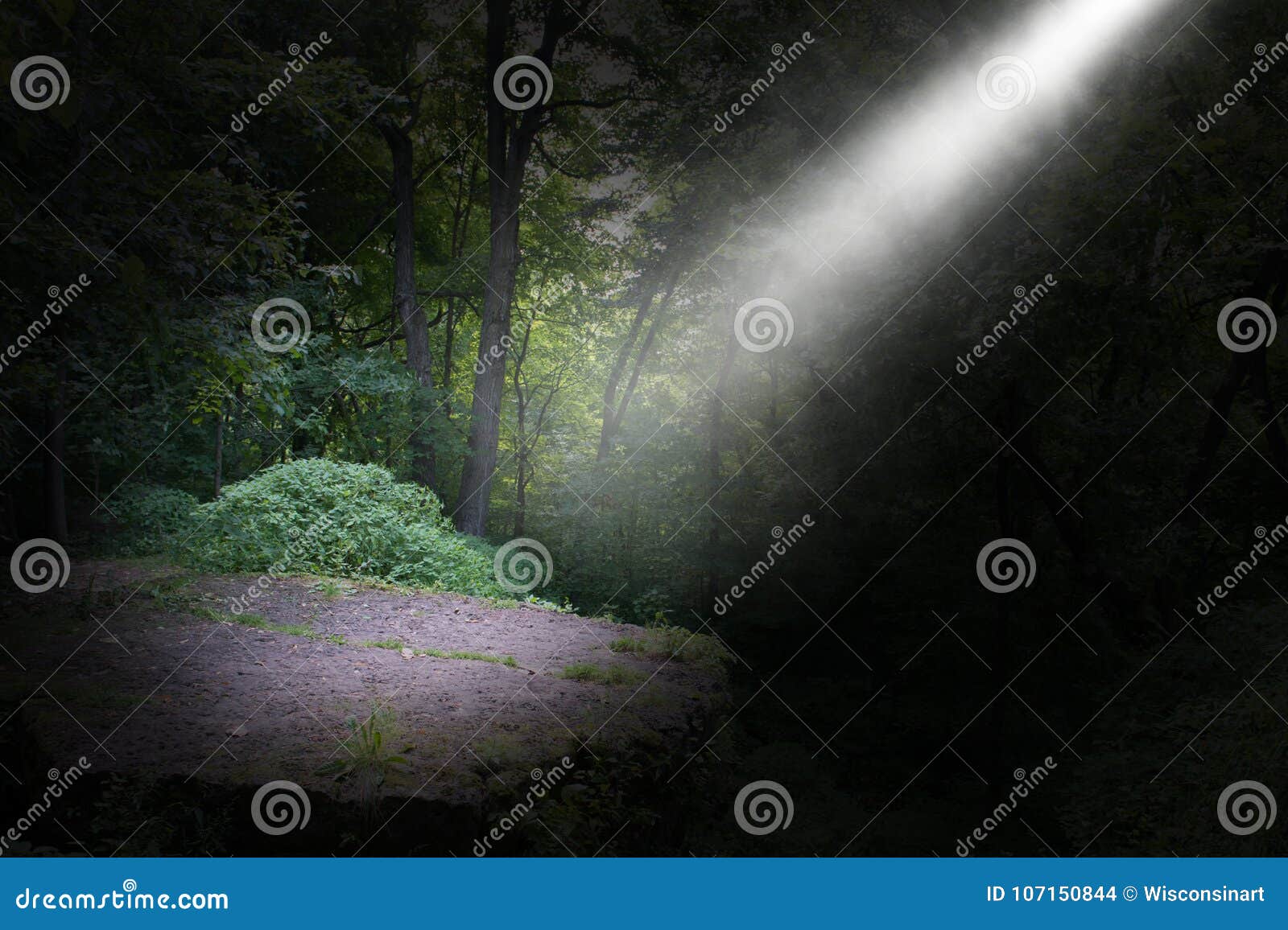 Dark Forest, Ray of Light Background Stock Photo - Image of trees ...