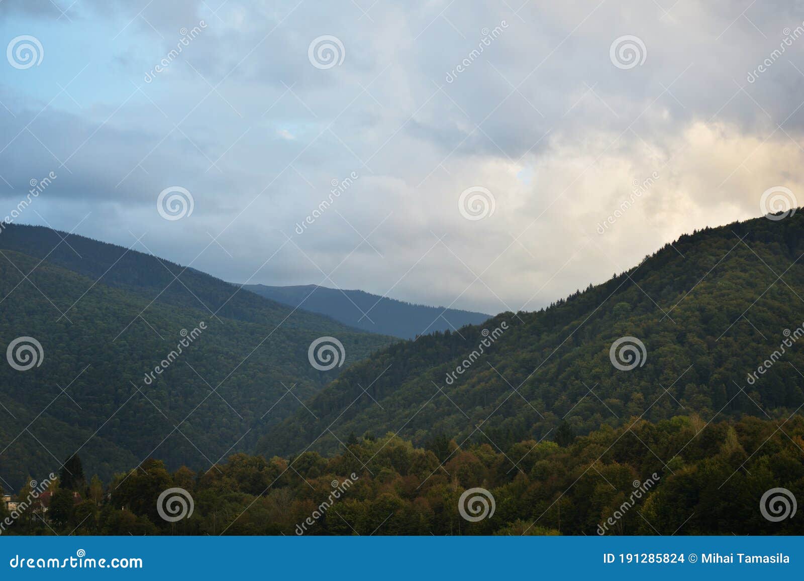 Dark Forest in Sunset Light Stock Photo - Image of season, october ...