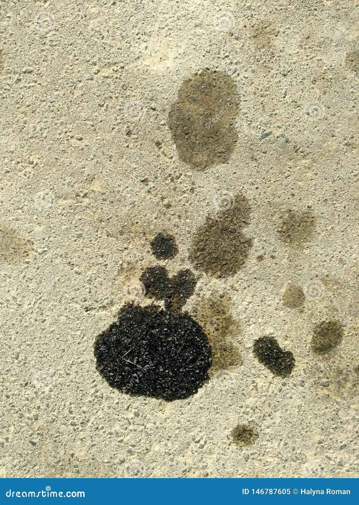 Dark Gasoline Spots after Car Stock Image - Image of abstract, spoiled ...