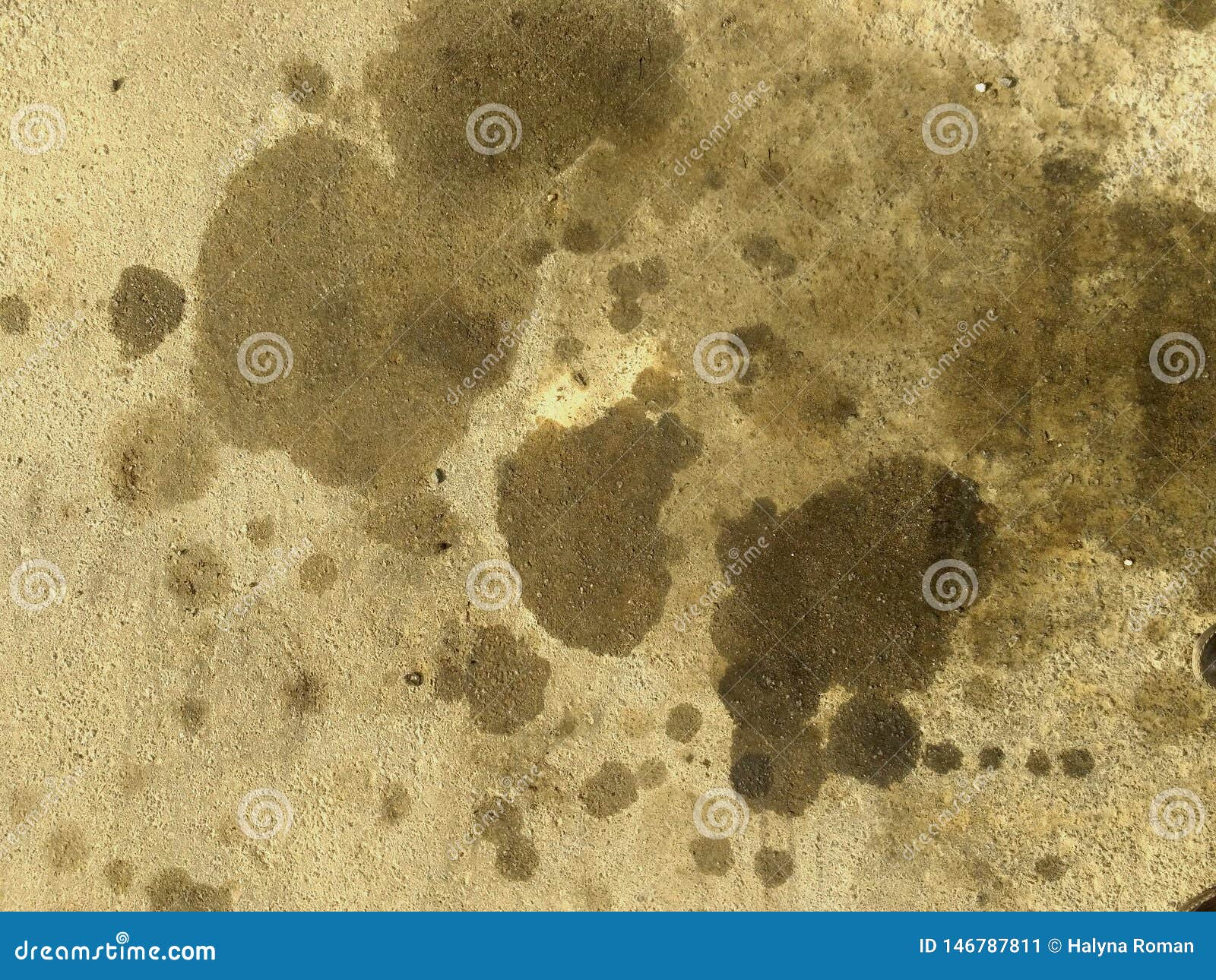 Dark Gasoline Spots after Car Stock Image - Image of industry ...