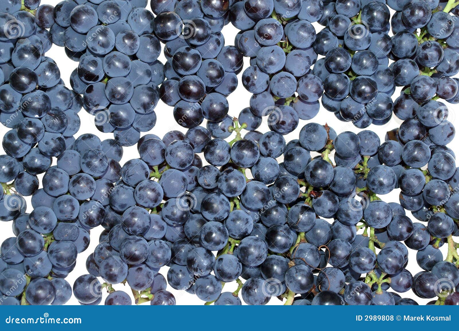 Dark grape stock photo. Image of close, grape, autumn - 2989808