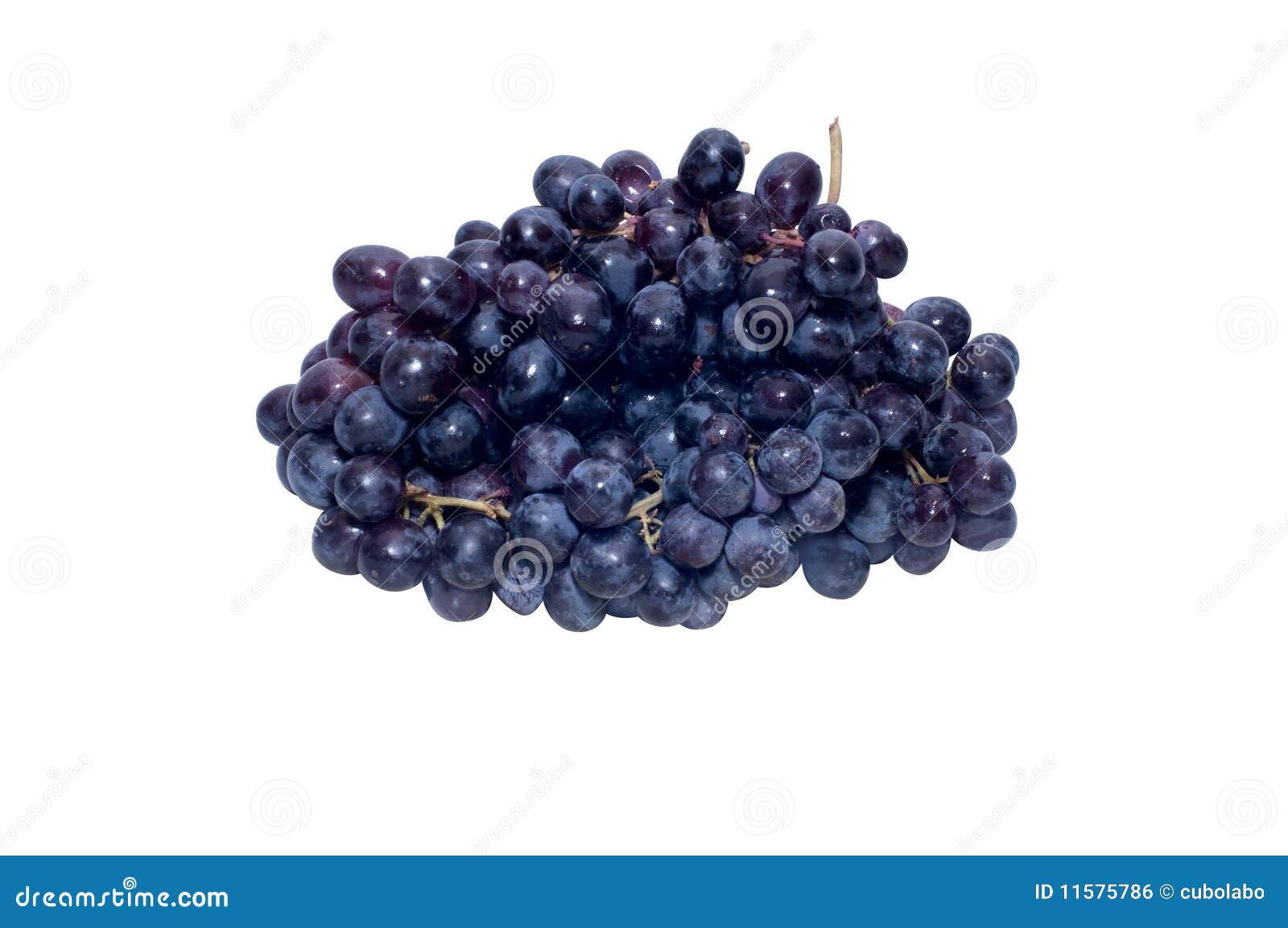 Dark grapes stock photo. Image of culture, vine, foliage - 11575786