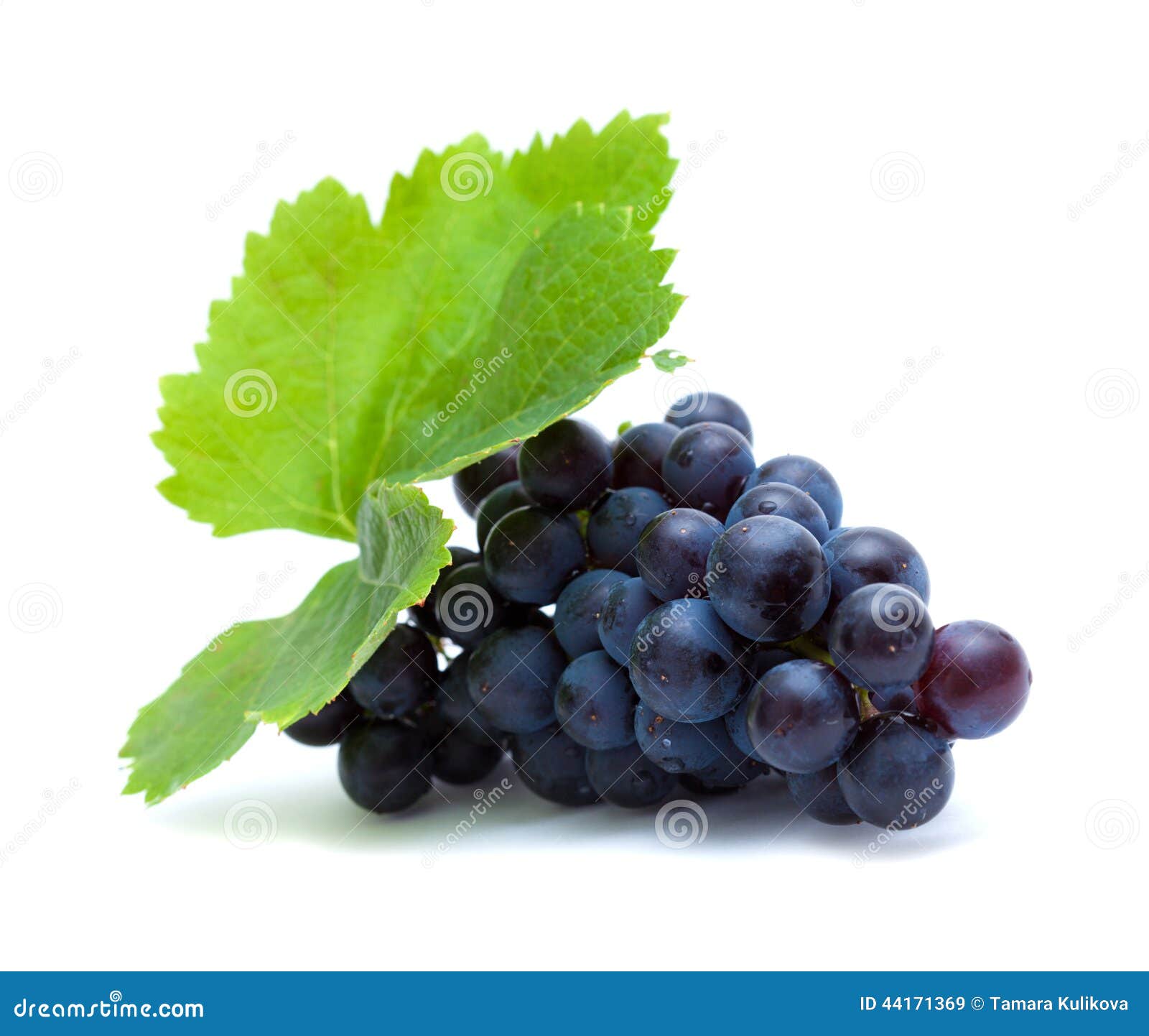 Dark grapes isolated stock image. Image of grape, grapes - 44171369
