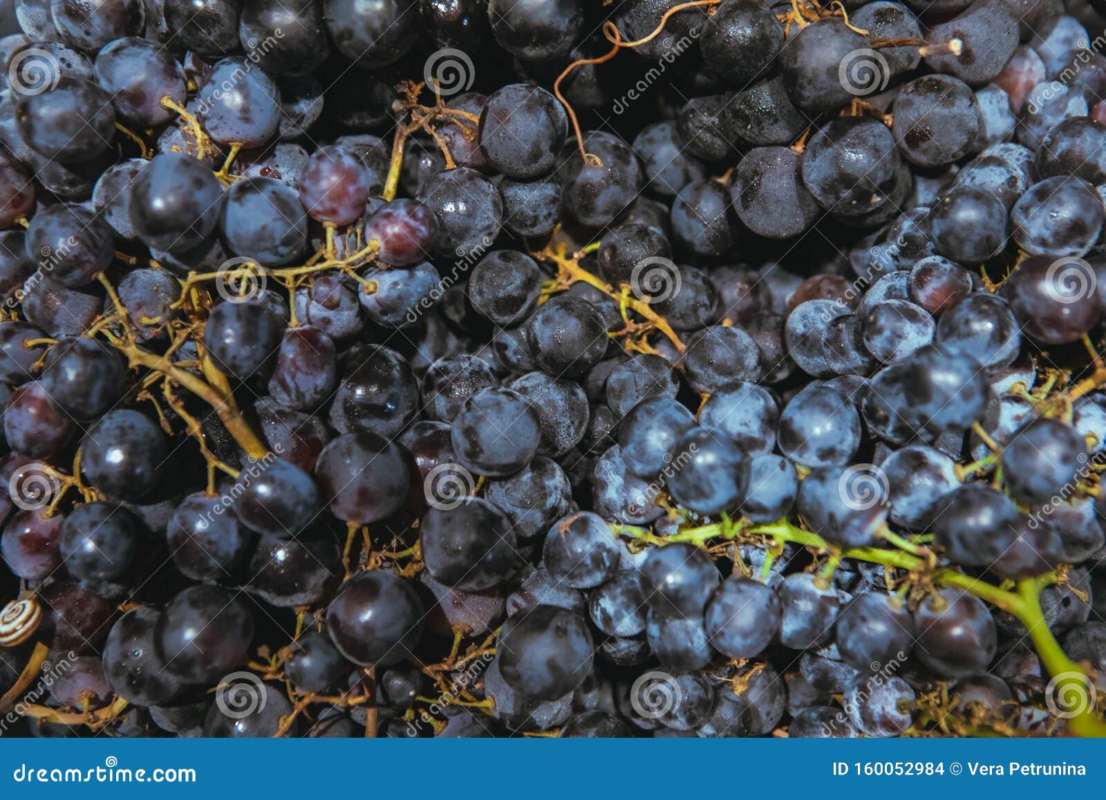 Red Grapes Texture Royalty-Free Stock Photo | CartoonDealer.com #61360029