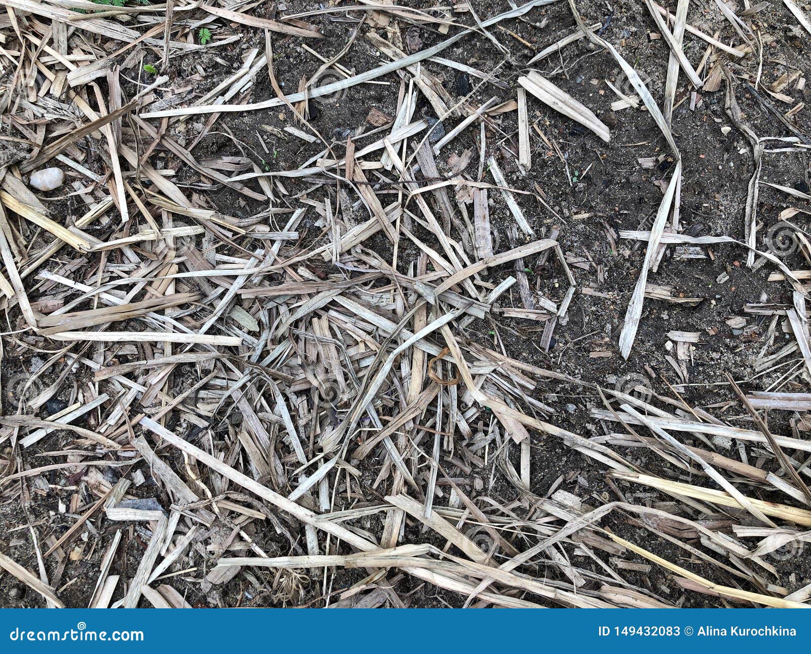 Dark Gray Straw Texture Background for Presentation Stock Image - Image ...