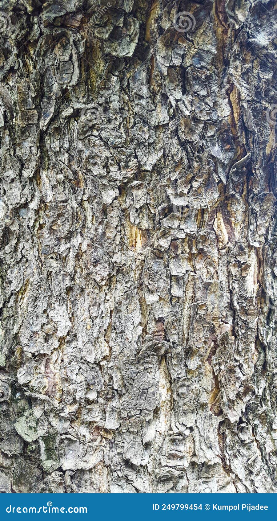 Dark Gray Tree Bark Texture Pattern for Use As Background Stock Photo ...