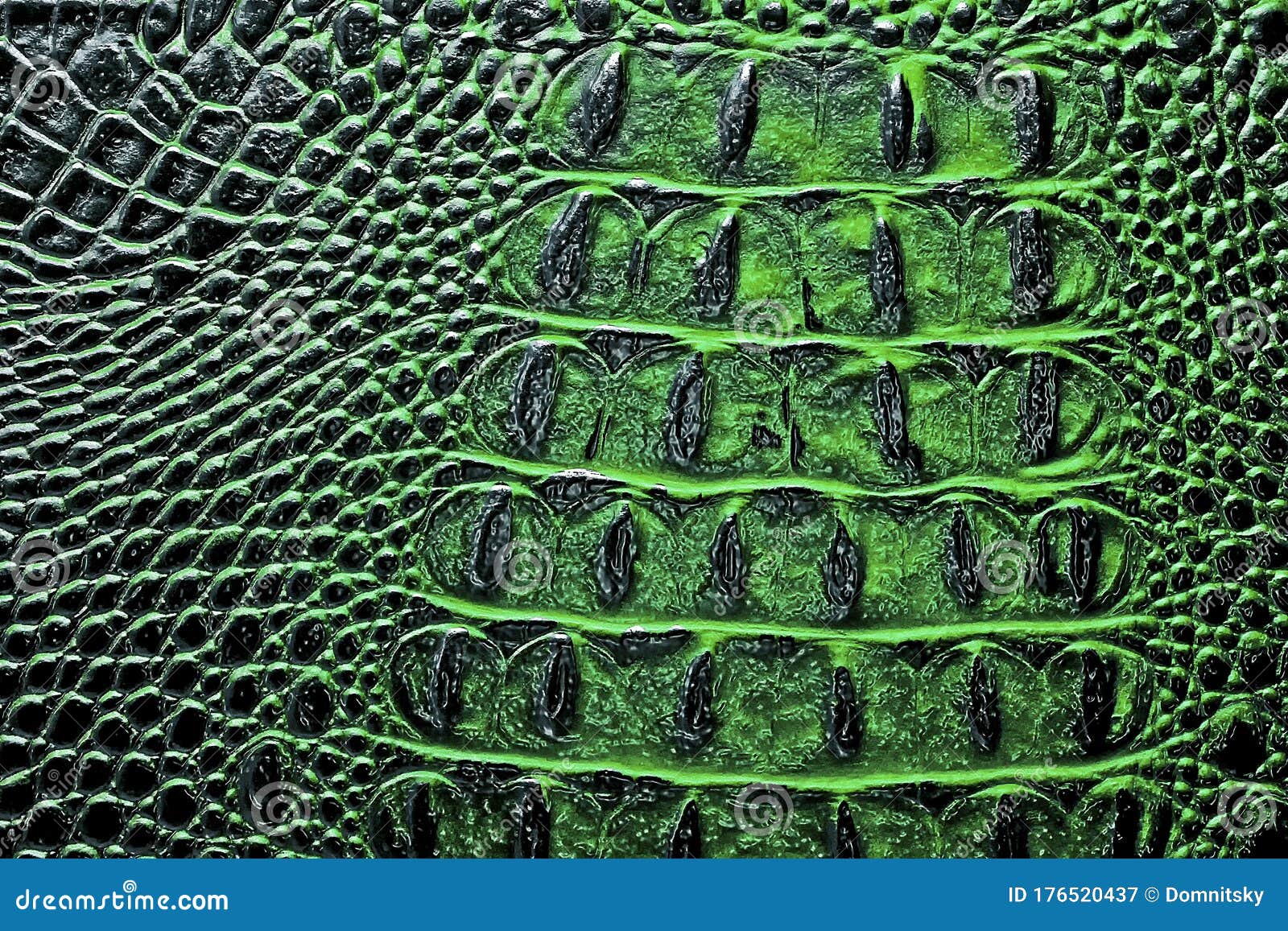 Green Alligator Skin Texture For Background Royalty-Free Stock ...