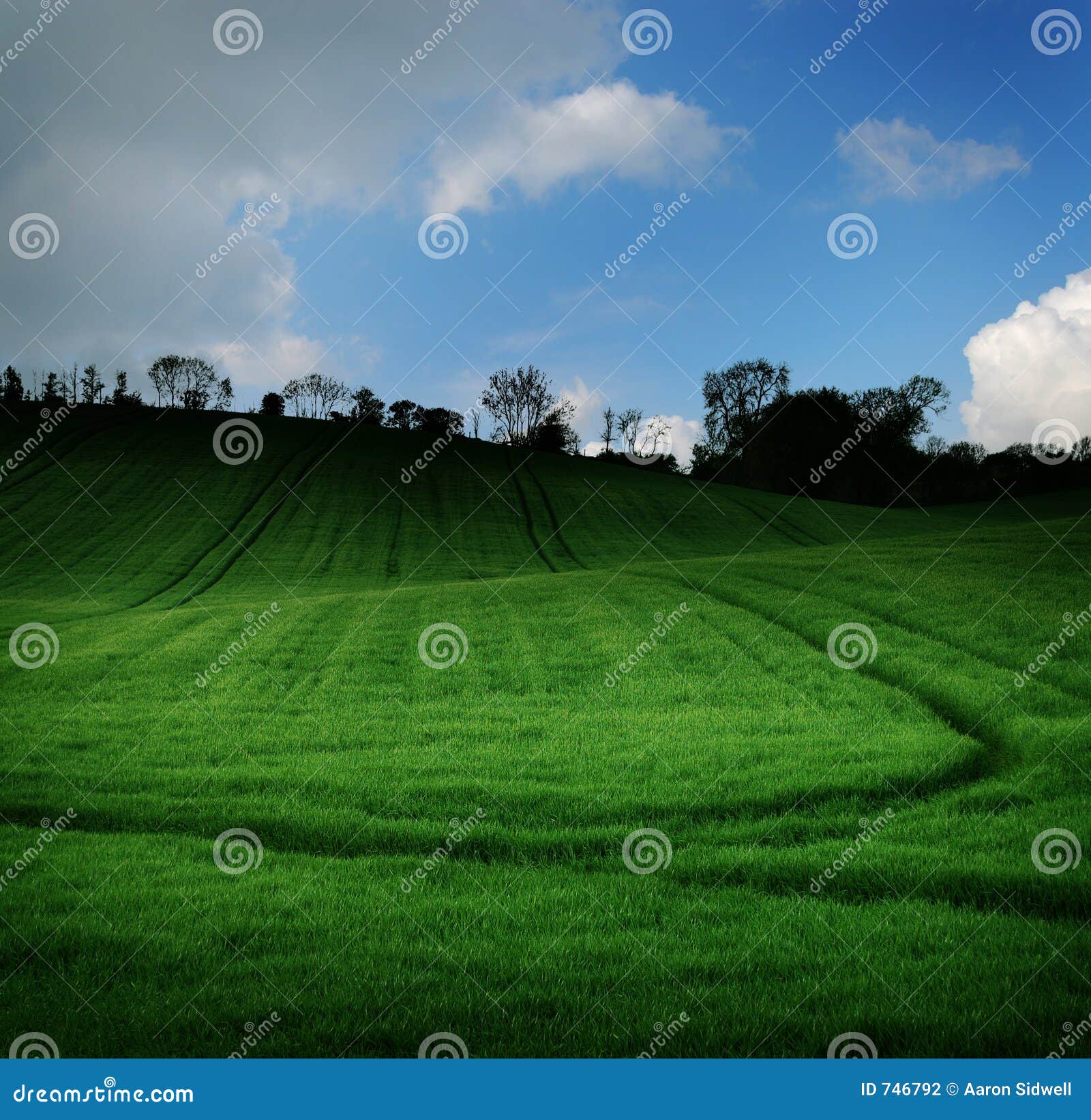 Dark green field stock photo. Image of clouds, vacations - 746792