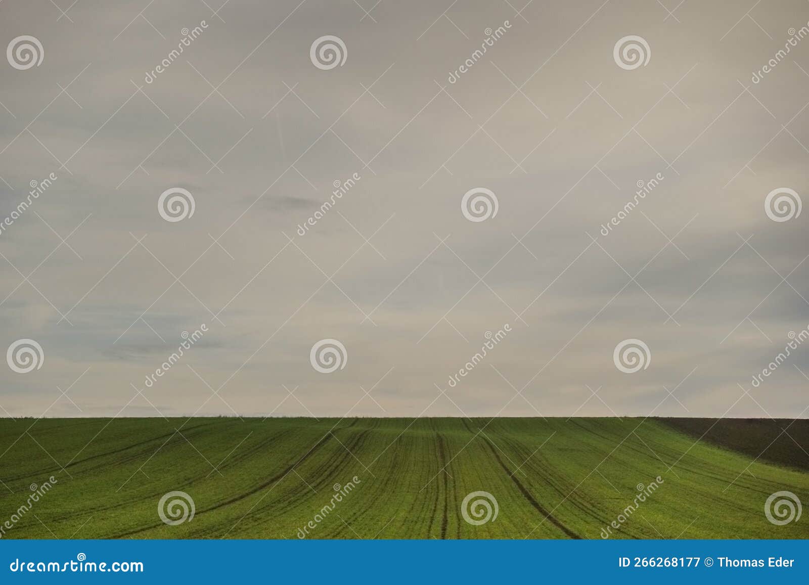 Dark Green Field with Dense Gray Sky Stock Image - Image of clouds ...