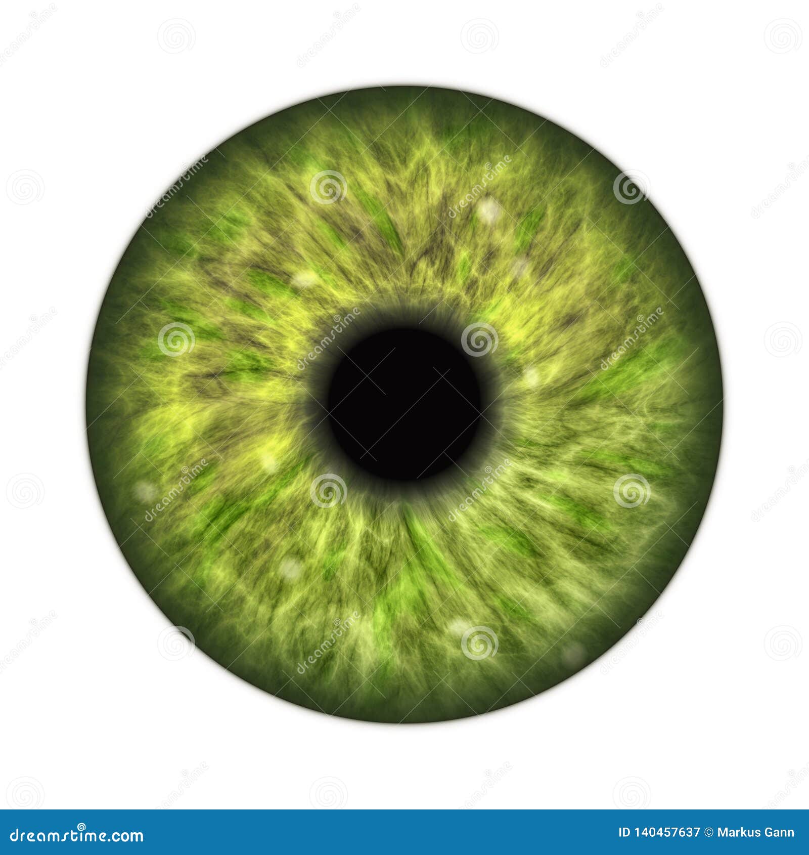 Dark green human iris stock illustration. Illustration of texture ...