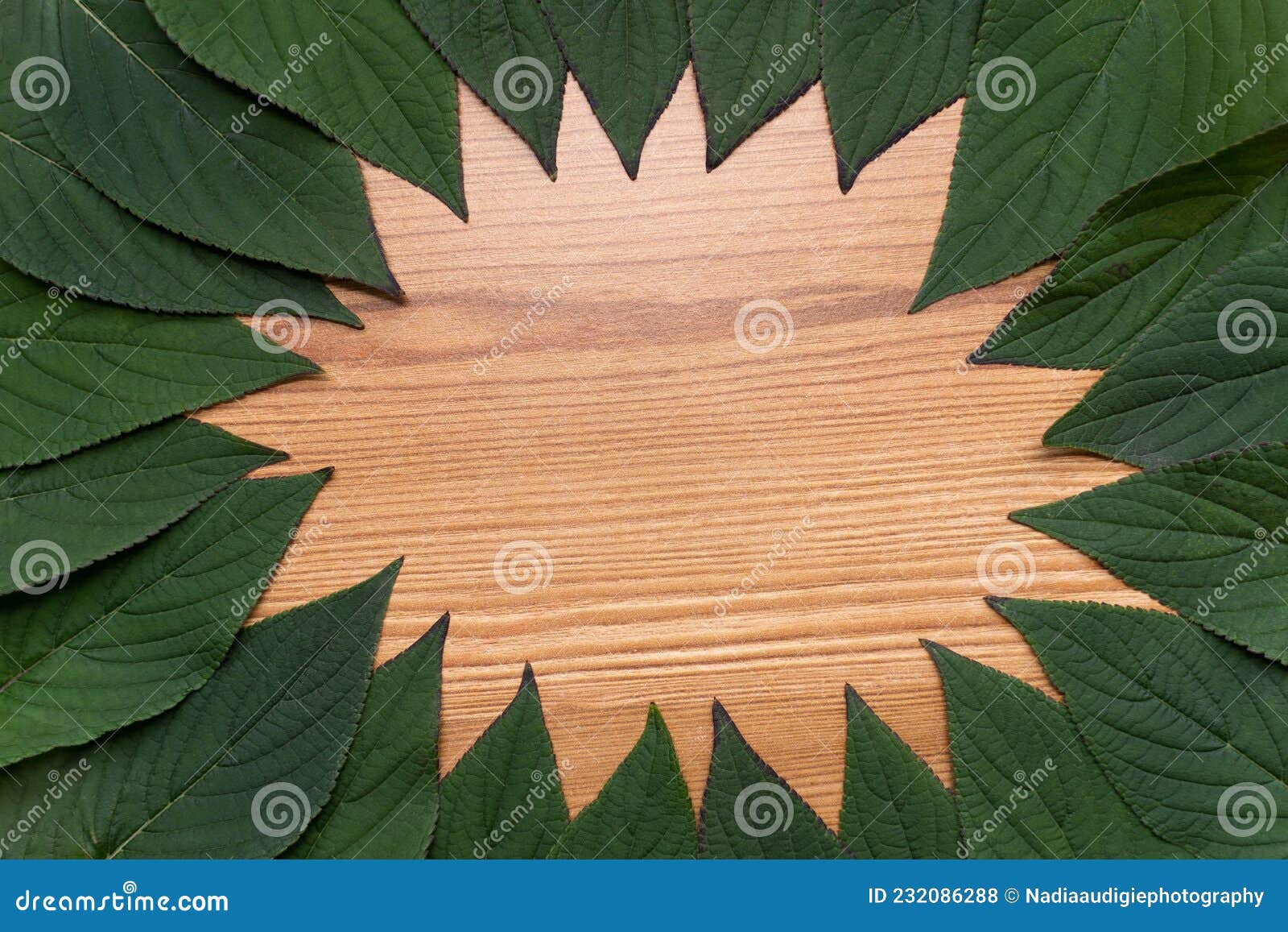 Leaf frame on wood stock photo. Image of vegetation - 232086288