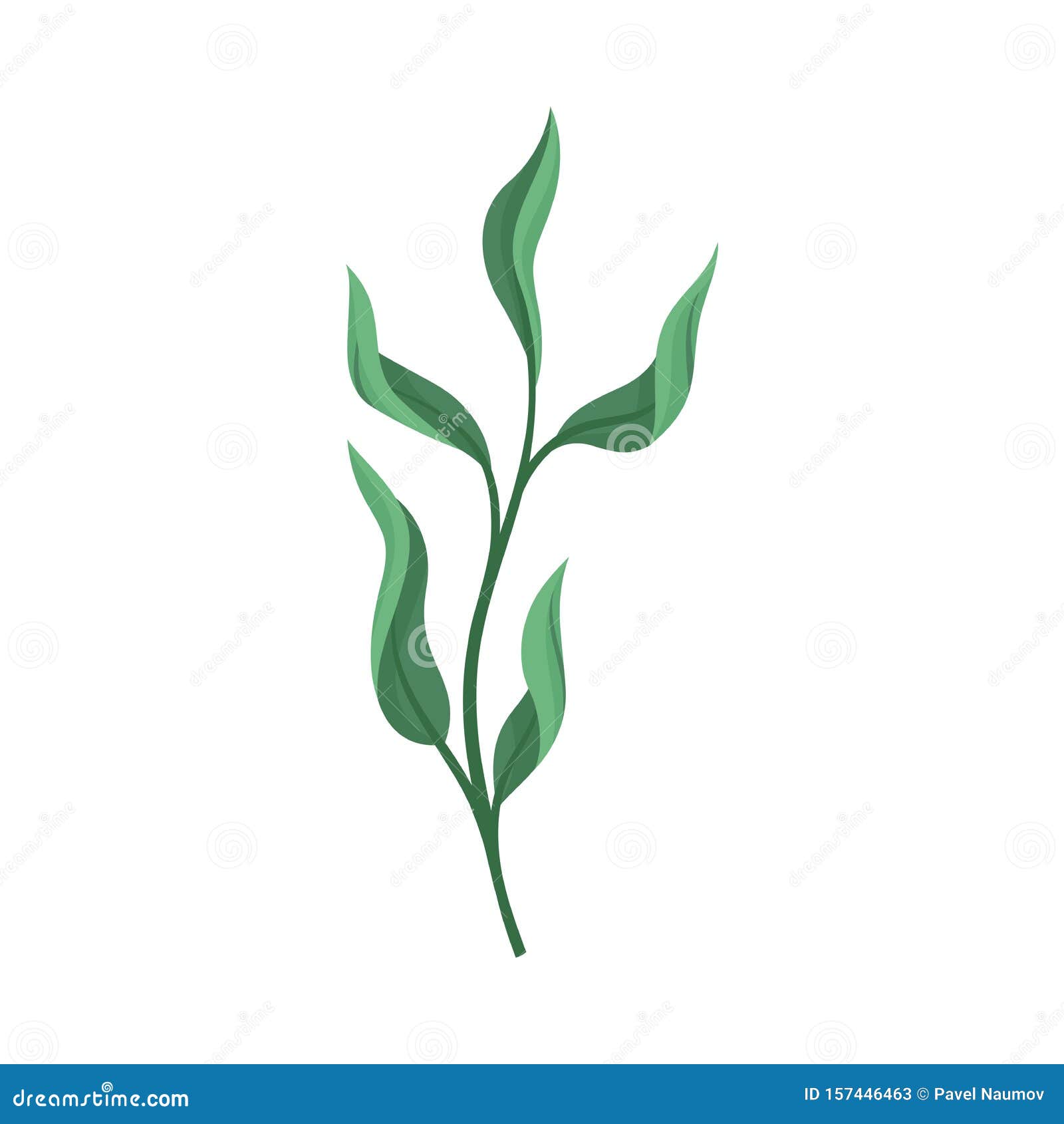 Dark Green Leaves. Vector Illustration on a White Background. Stock ...