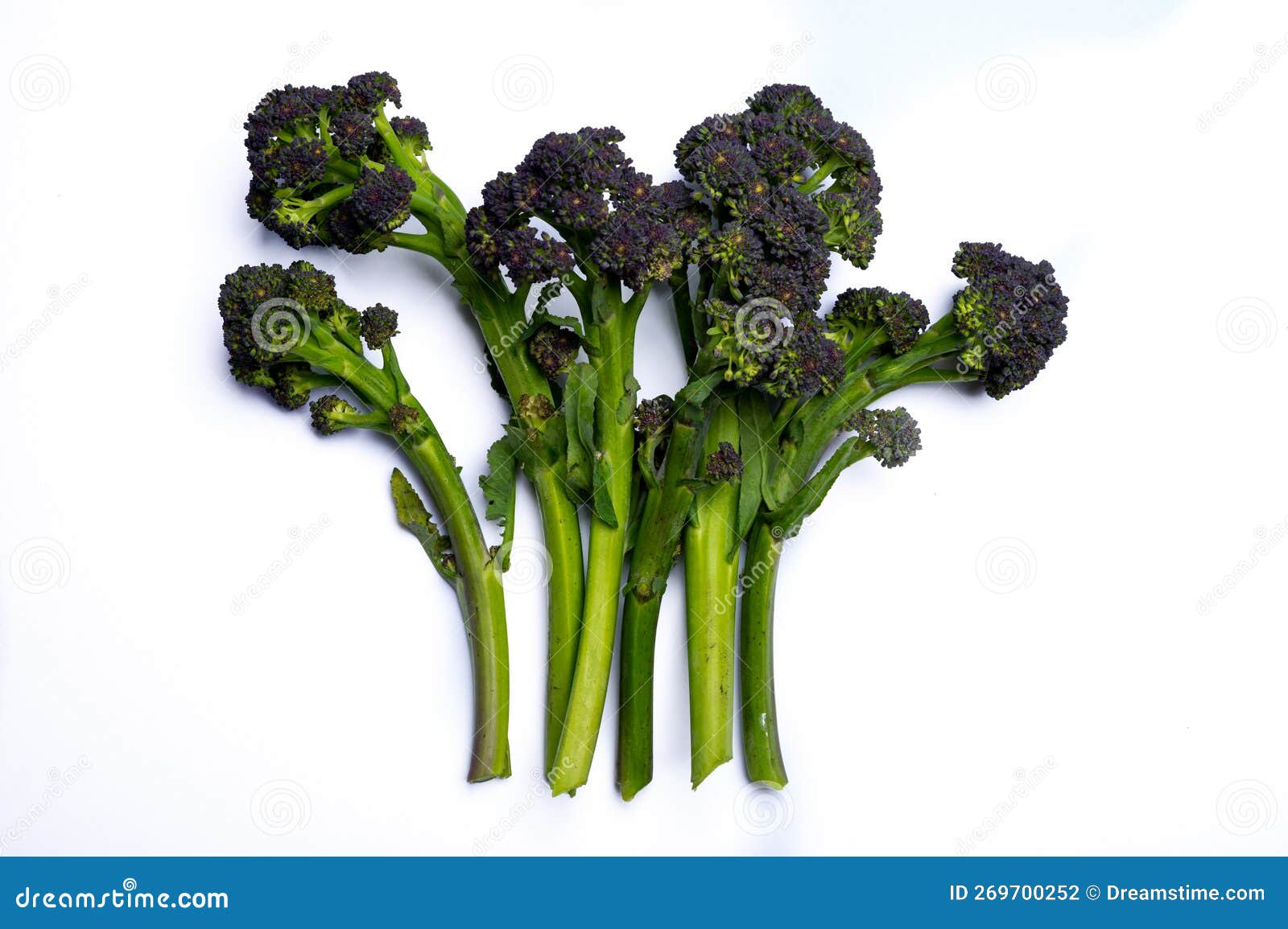 Dark Green Stems of Bimi Asparagus Broccoli Vegetables Stock Photo ...