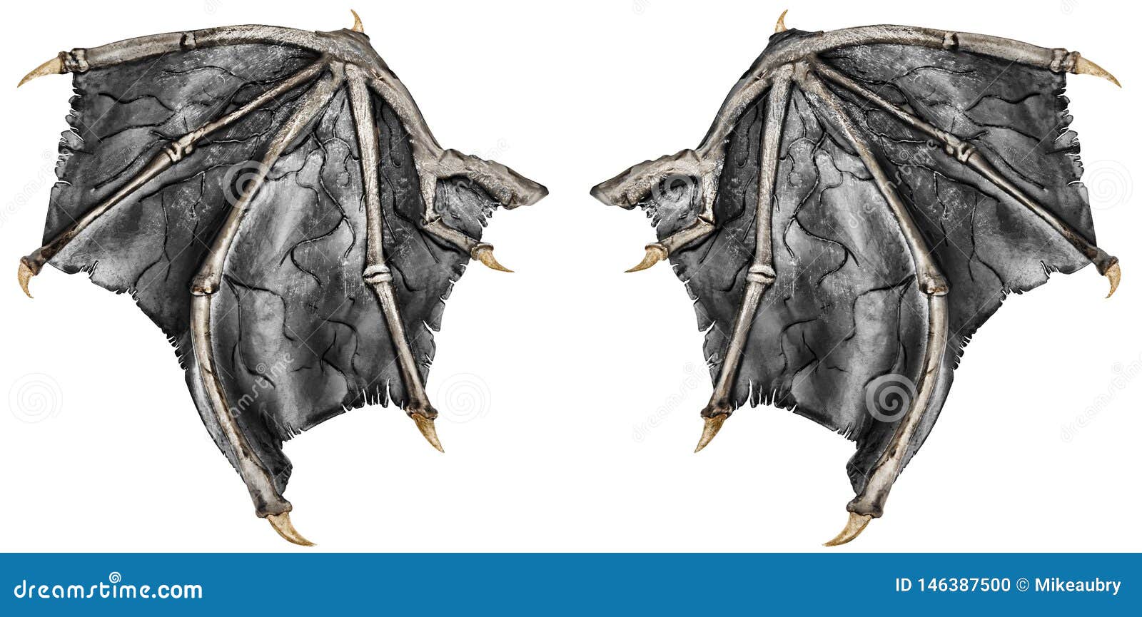 Dark Grey Realistic Dragon Wings, Isolated on White. Stock Photo ...
