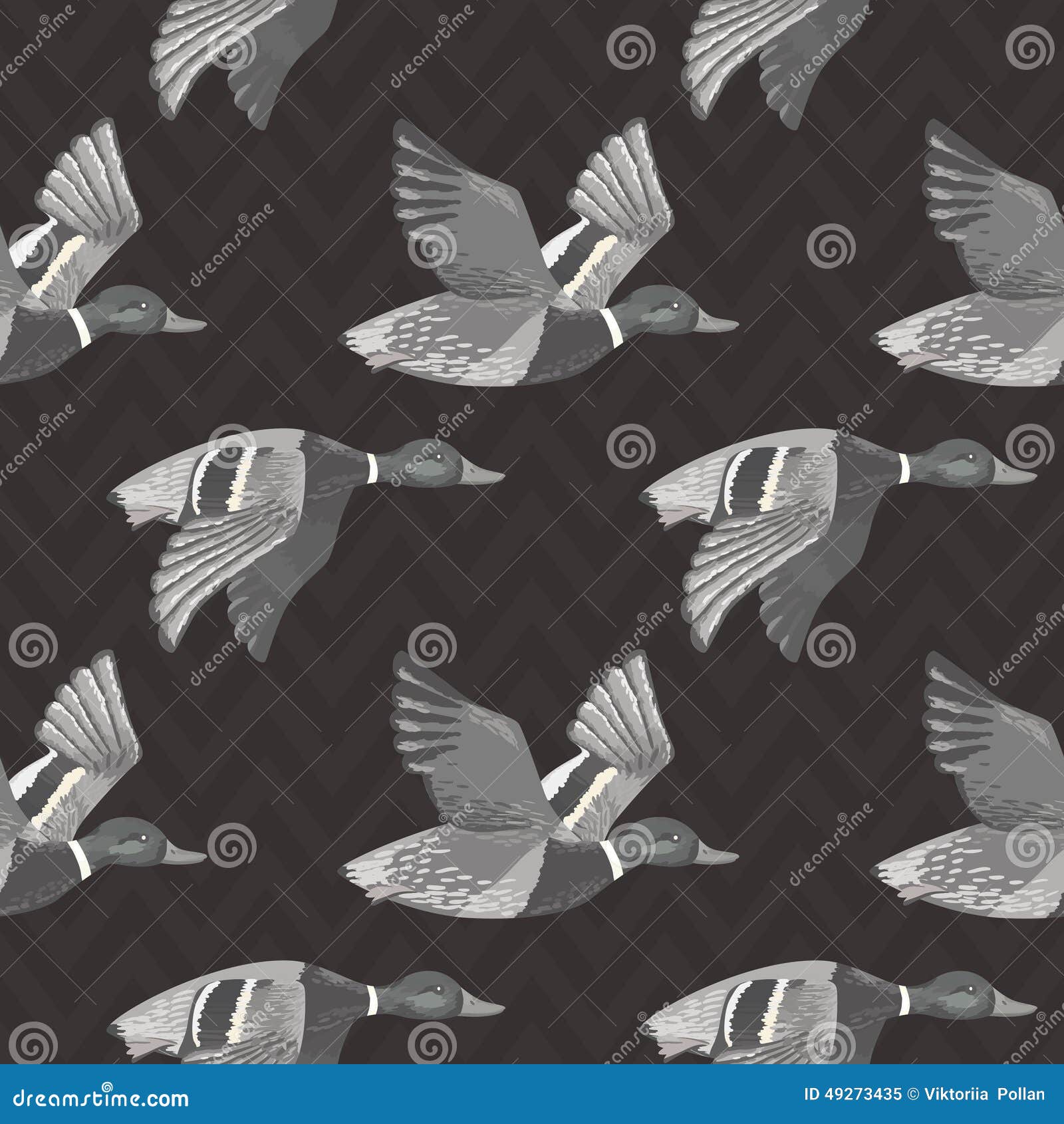 Dark Grey Vector Seamless Pattern with Flying Ducks Stock Vector ...