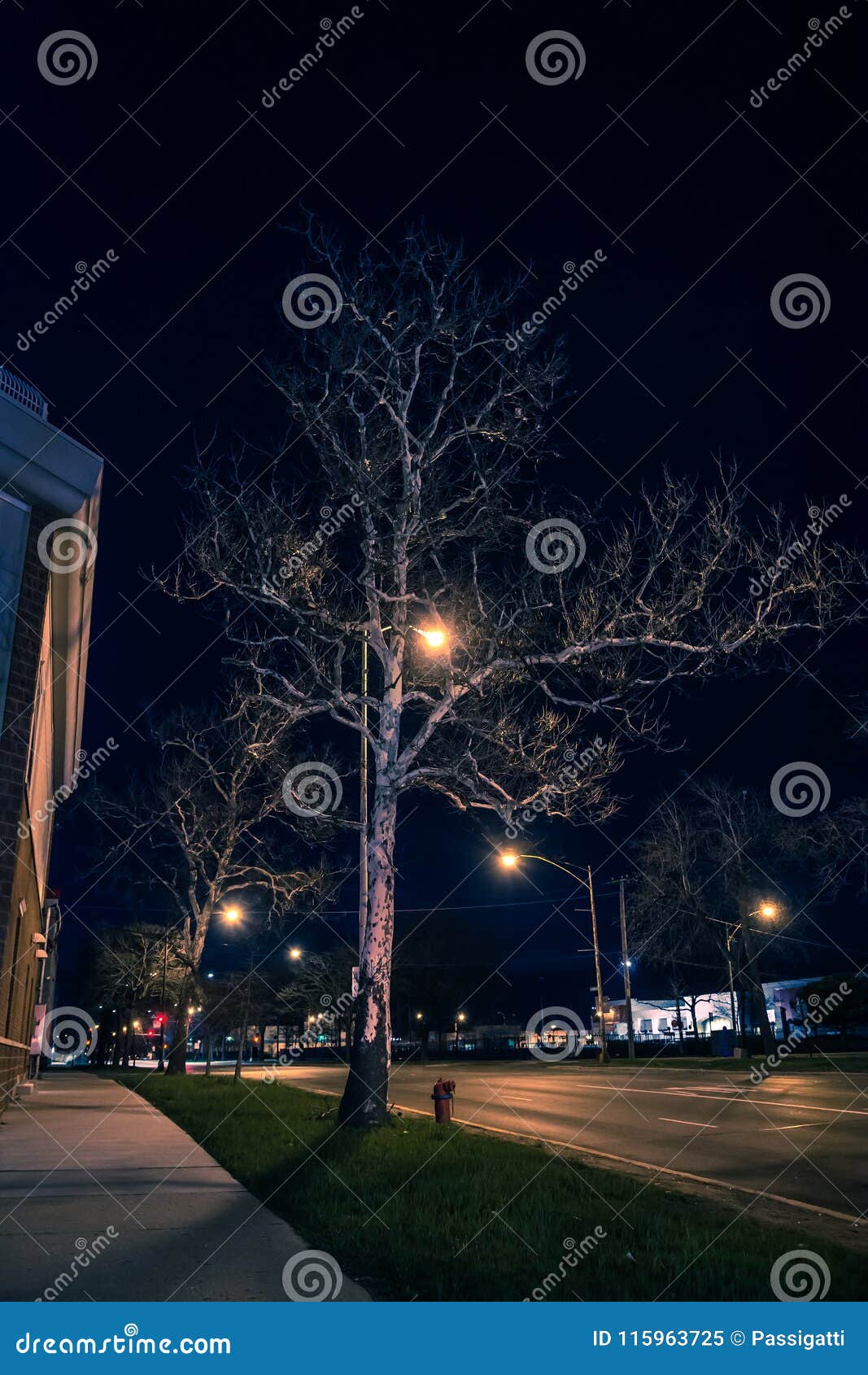 Dark and Gritty Street Scenery at Night Stock Image - Image of road ...