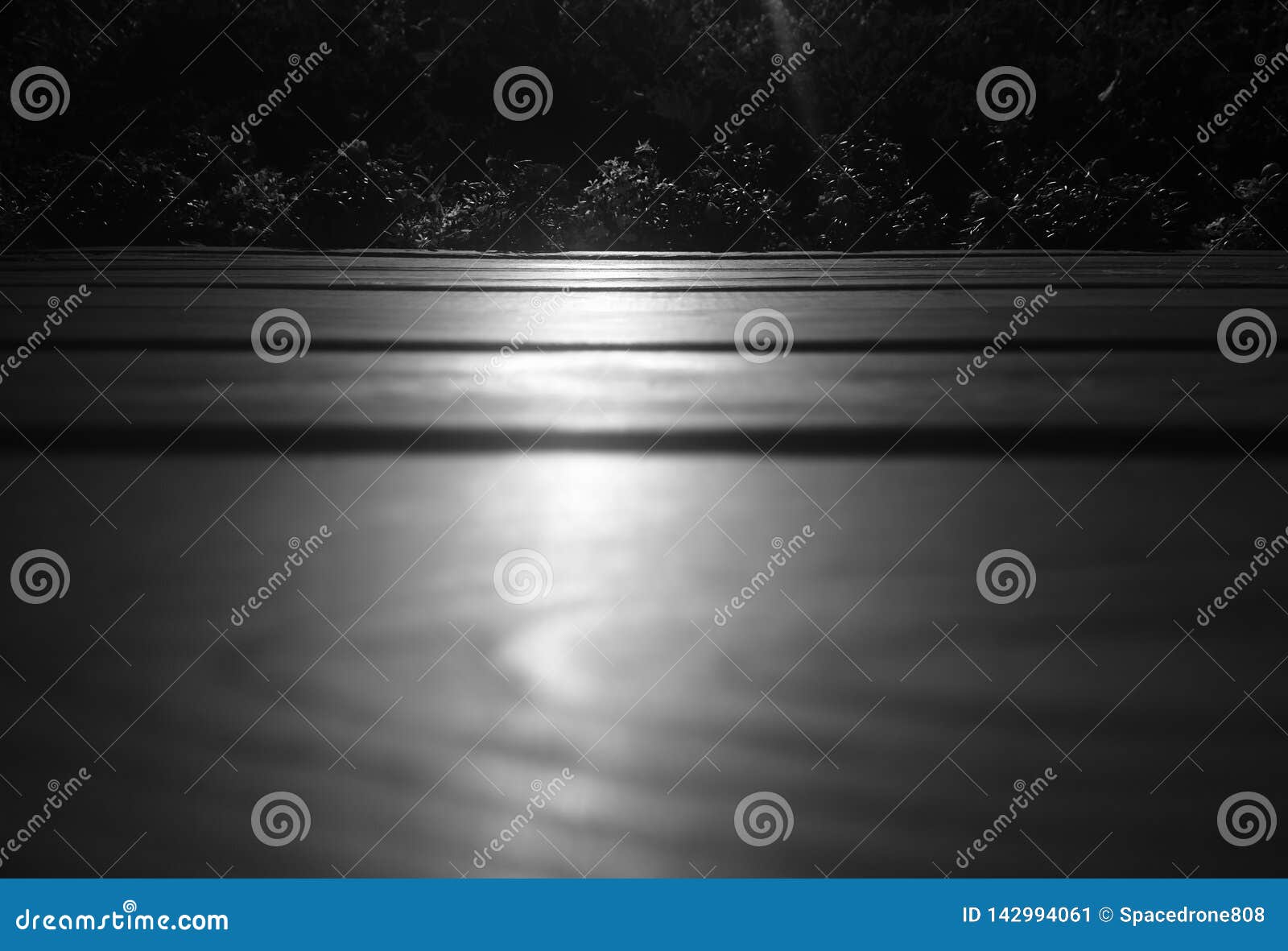 Dark Ground View on Garden Flowers Background Stock Image - Image of ...