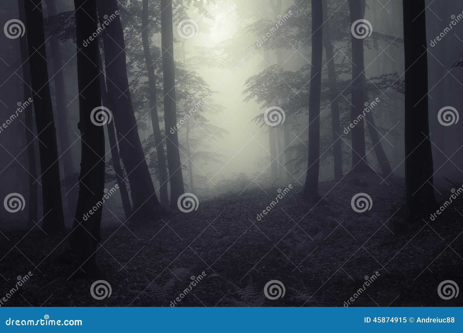 Dark Haunted Forest With Fog Stock Image - Image of fantasy, haunted ...