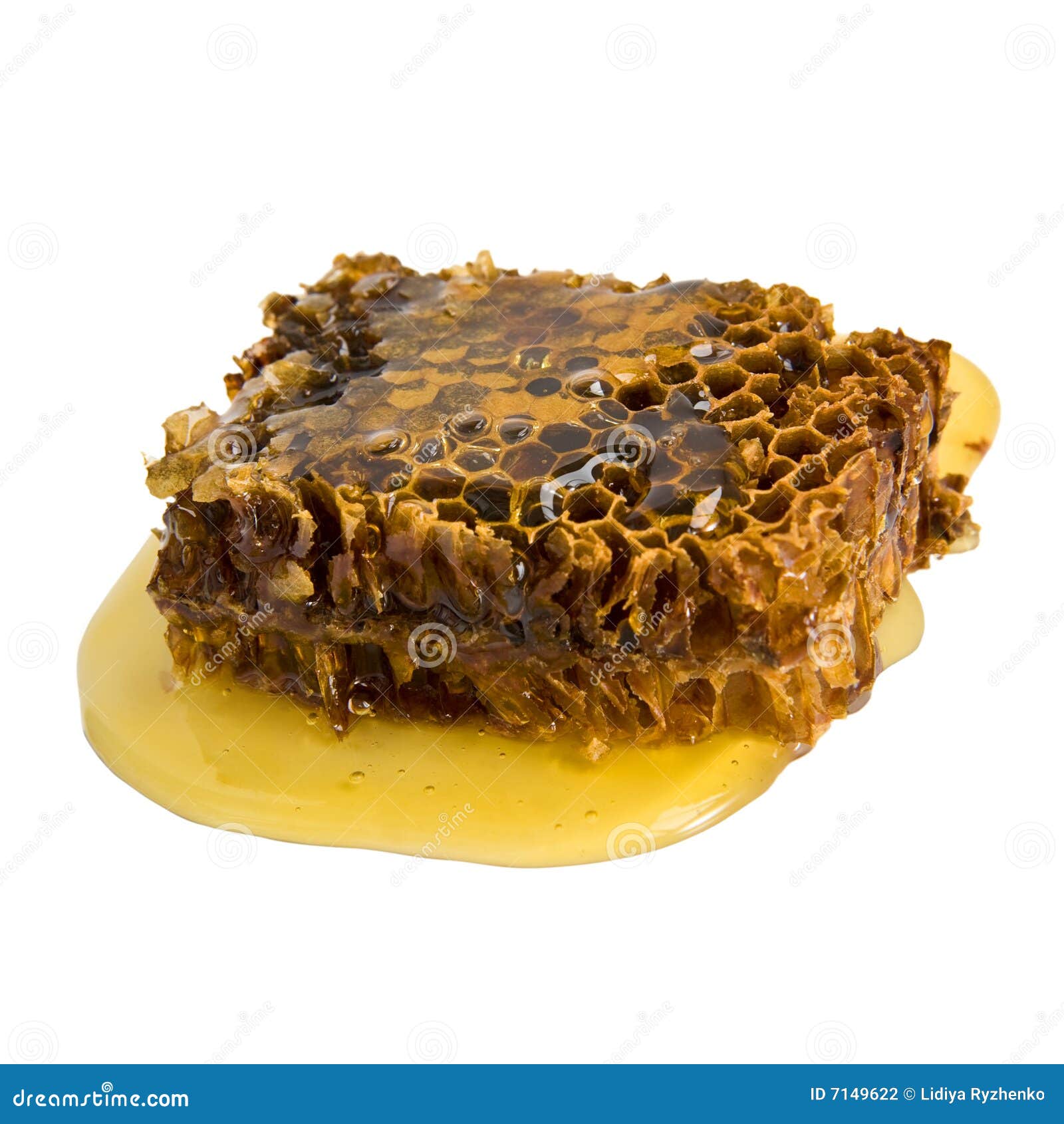 Dark honeycomb stock photo. Image of single, sticky, gourmet - 7149622