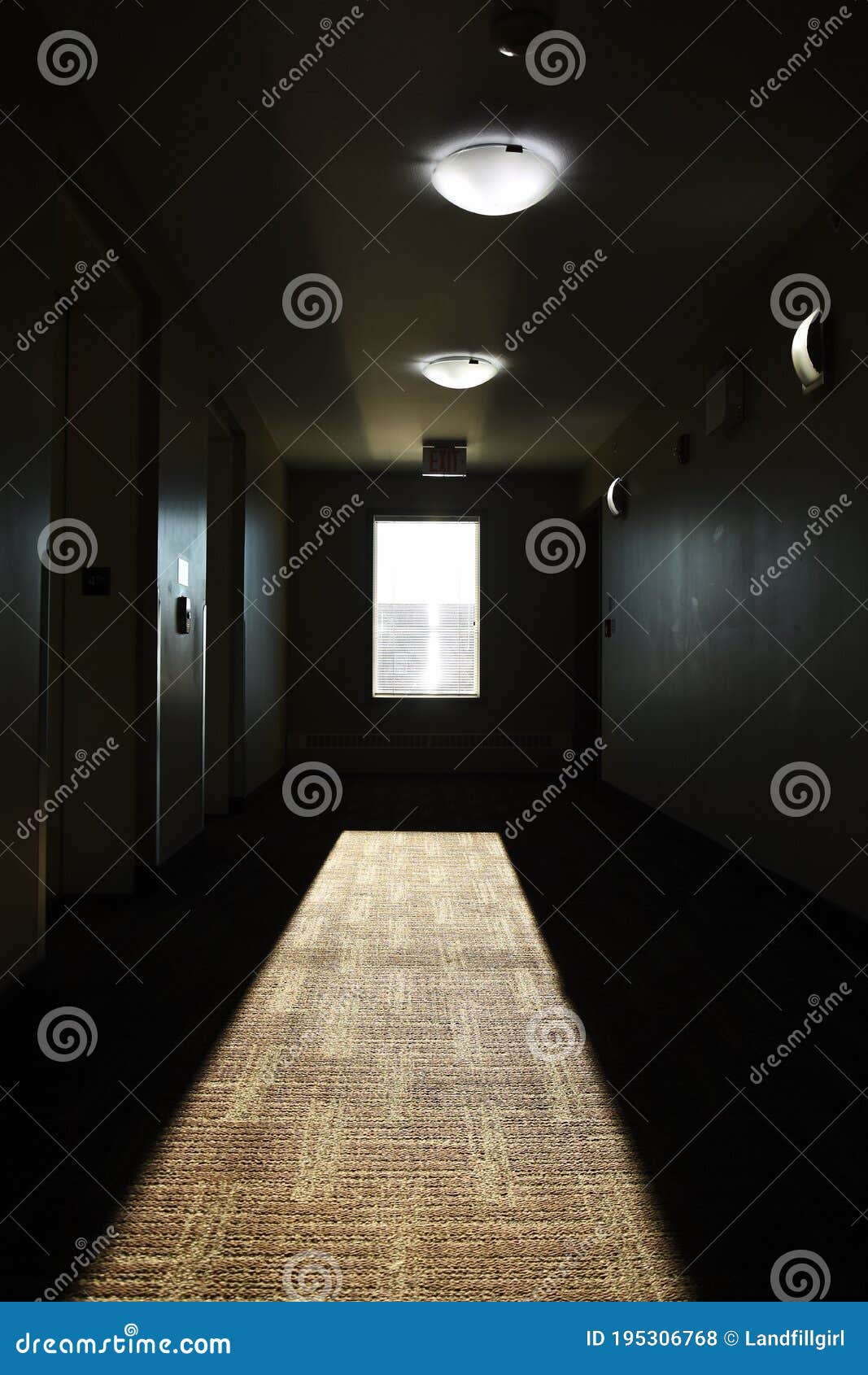 Dark Hotel Hallway stock photo. Image of perspective - 195306768