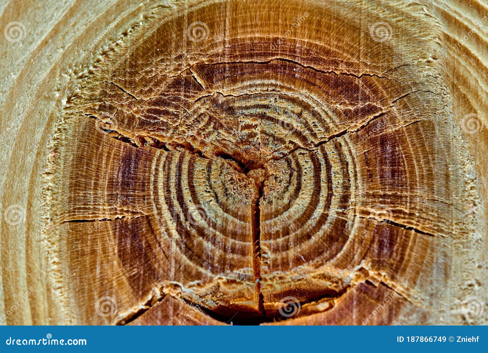 Dark Knothole in a Light Grained Piece of Wood, Close Up, Texture ...